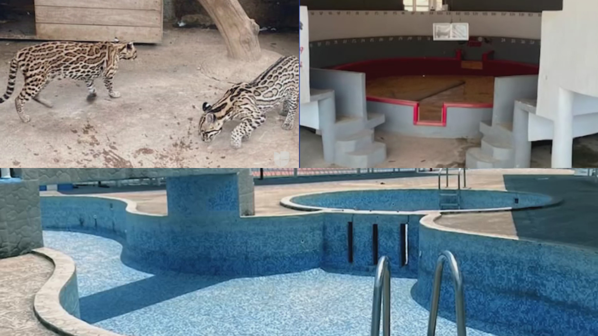 Así era la cárcel en Venezuela desde donde operaba una peligrosa banda ...