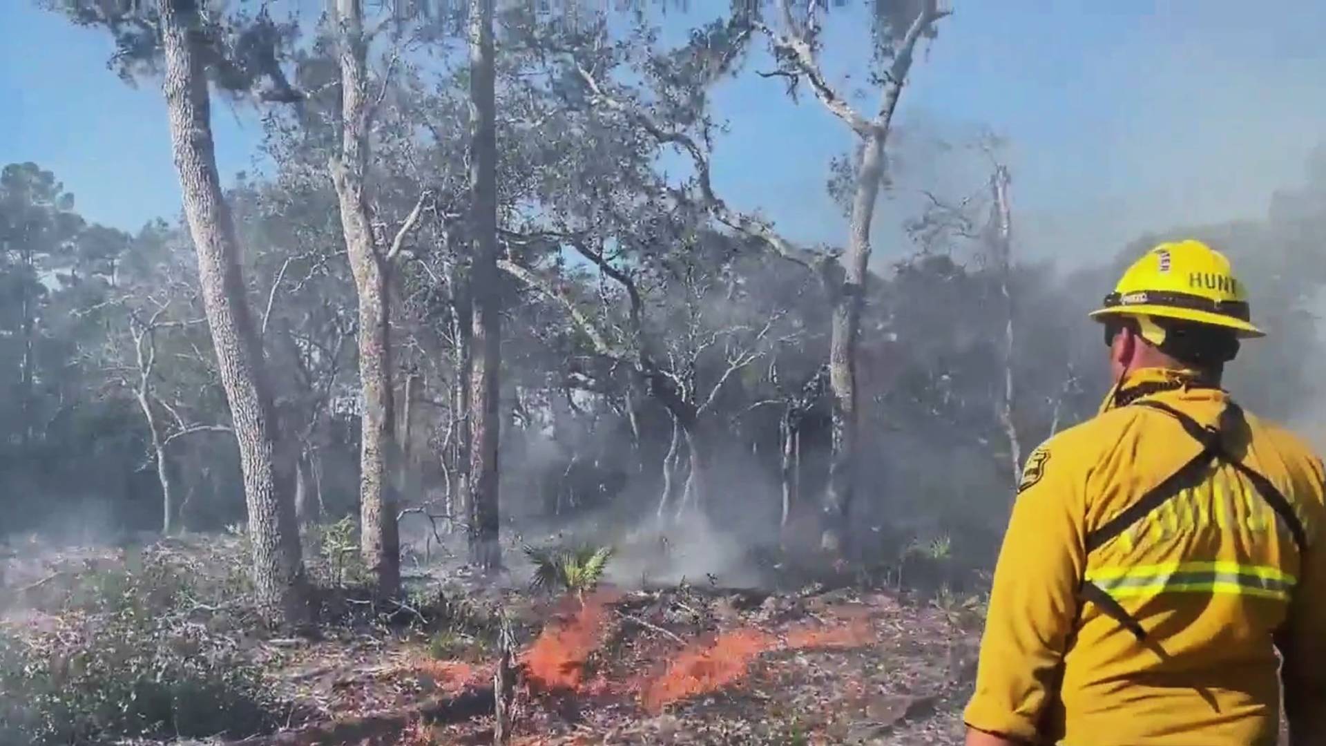 Conoce qué son y para qué sirven los incendios controlados en Florida ...