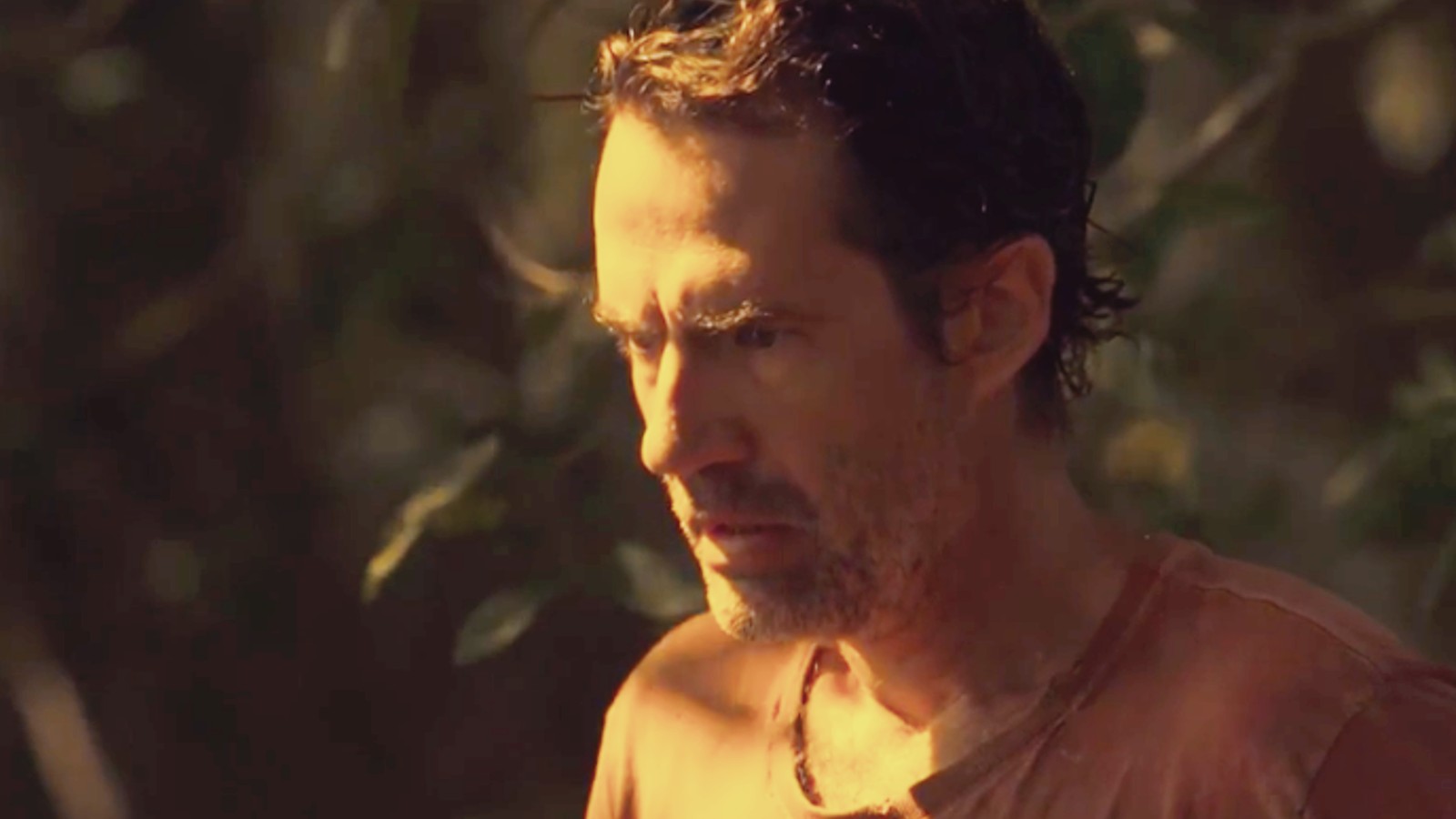 Qual será o fim de Solano em “Pantanal”? Tentará matar o Velho e morrerá assassinado | Zappeando ...