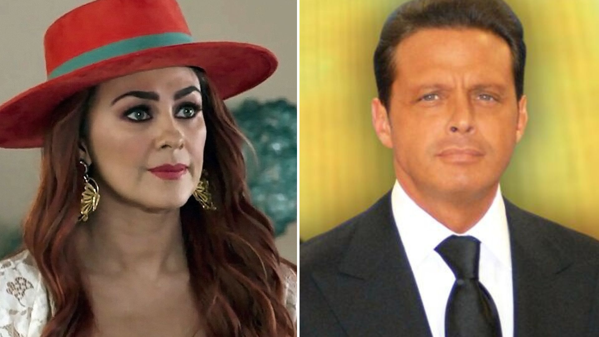 Aracely Arámbula reaccionó al presunto 'hackeo' que sufrió su ex Luis ...