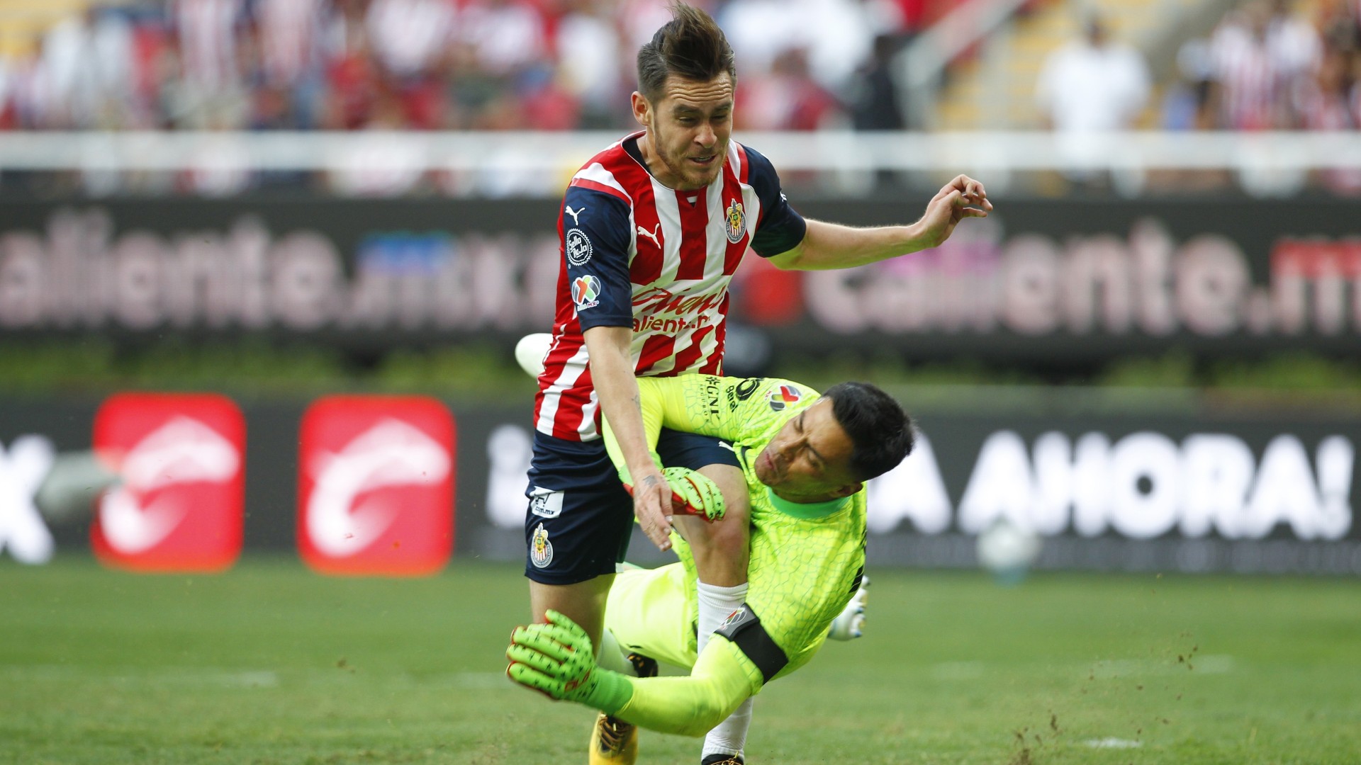 'Canelo' Angulo sufre fractura y causa baja de Chivas | TUDN Deportes ...