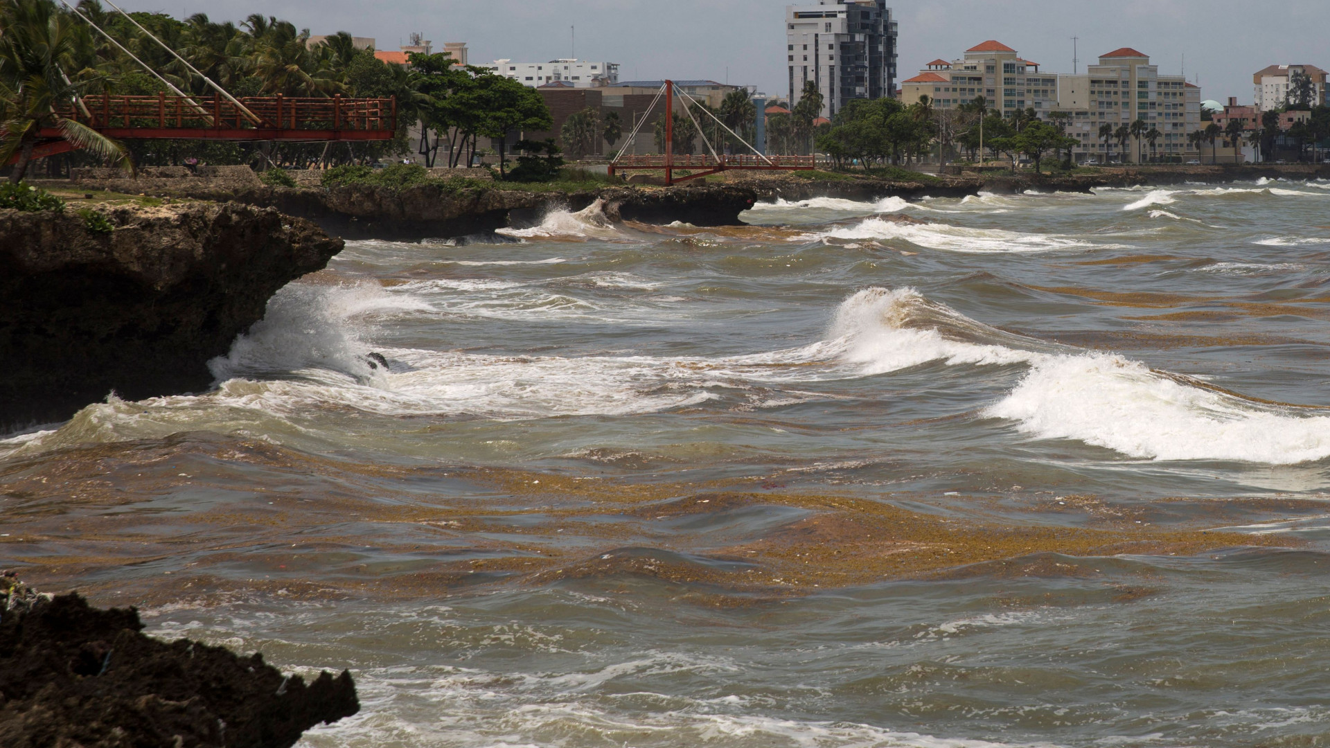 Elsa trae lluvias, fuertes vientos y algunas inundaciones a Cayo Hueso ...