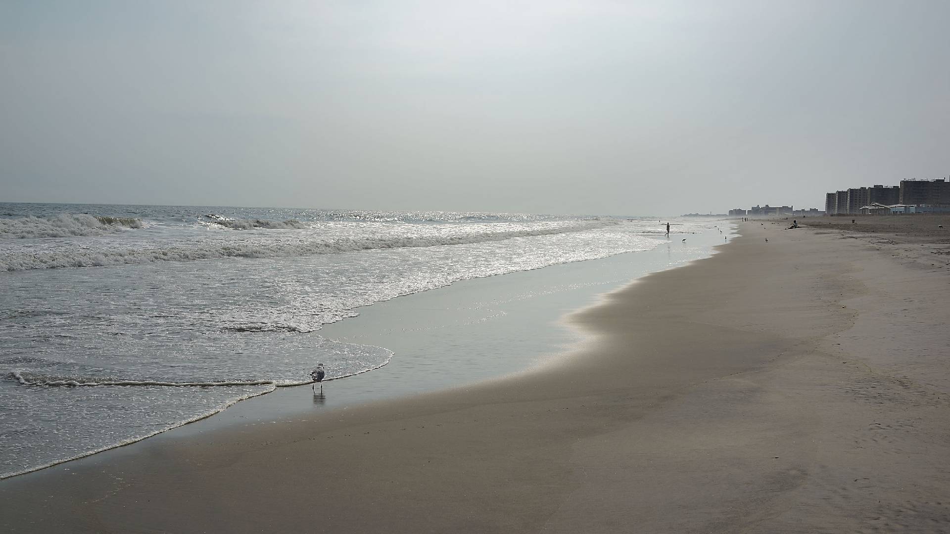 Tras ataque de un tiburón cierran la playa de Rockaway | Video ...