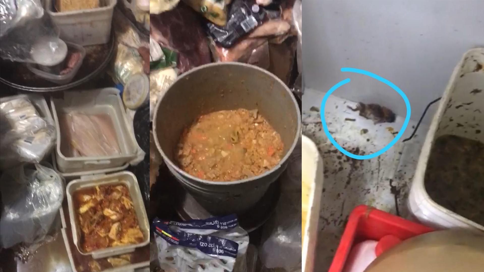 "Ratones y hasta carne en el piso”: Departamento de Salud cierra Latin ...