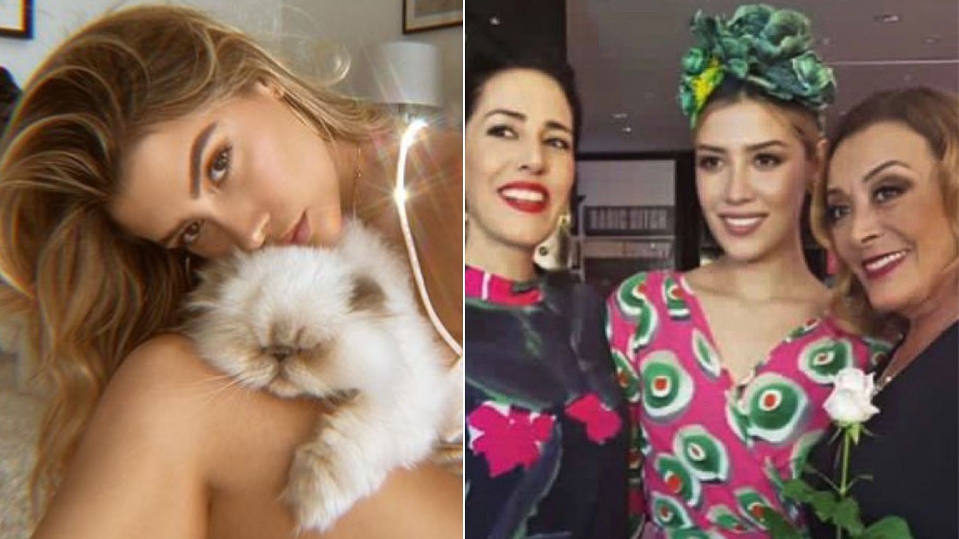 Michelle Salas de luto por la muerte de su gatito Valentino | Univision ...