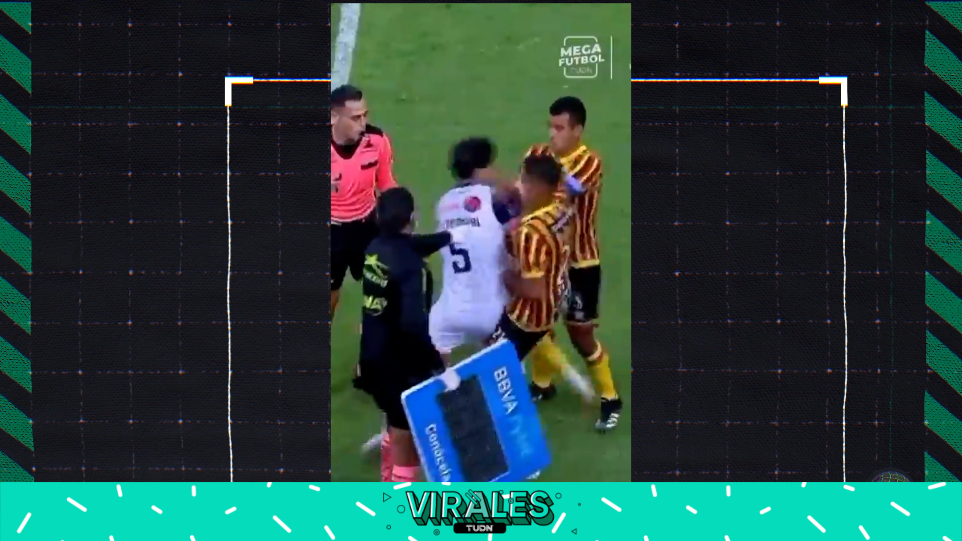 Leones Negros y Cimarrones acabaron como pelea de boxeo | TUDN Fútbol ...