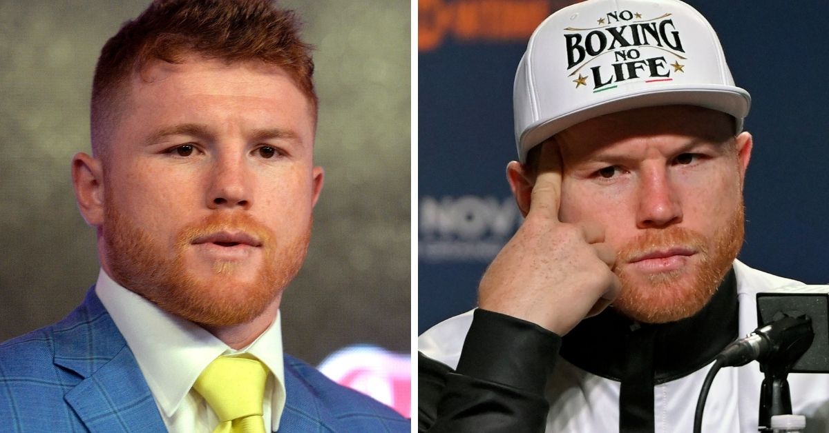 Saúl ‘Canelo’ Álvarez presumió a su nuevo gato en Instagram tiene un ...