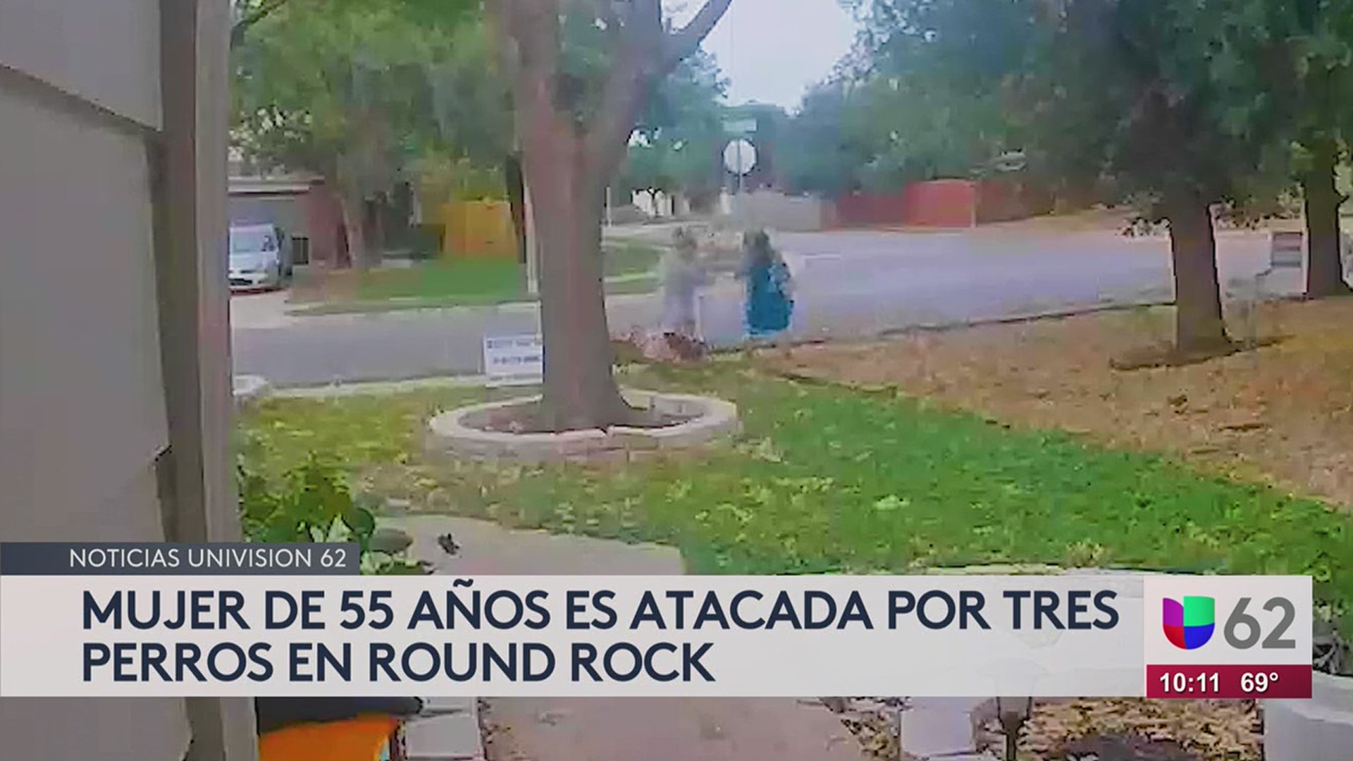 Mujer de 55 años es atacada por 3 perros en Round Rock | Video | Univision 62 Austin KAKW ...