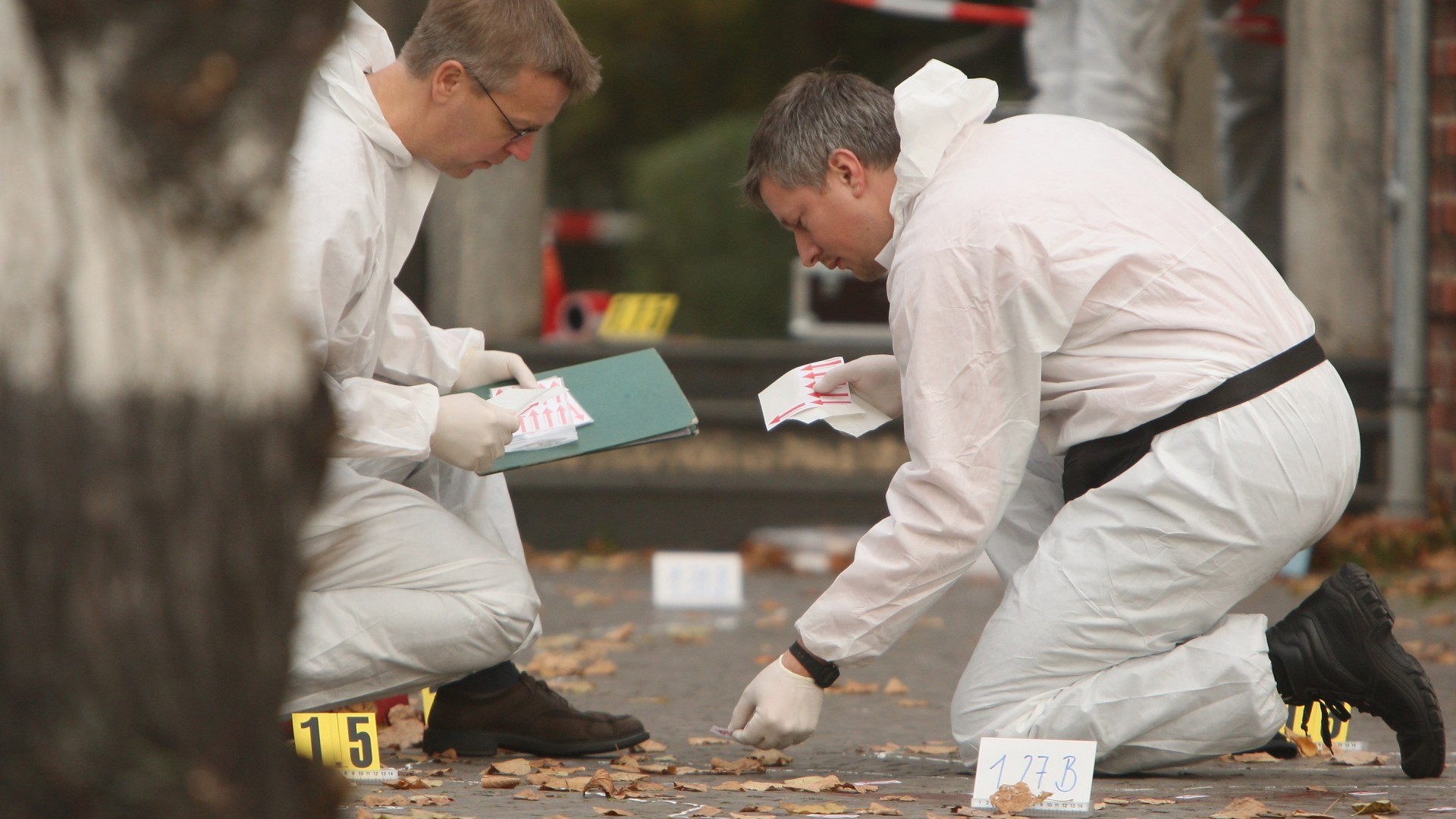 Experta analiza las razones que pueden llevar a una persona a cometer ...