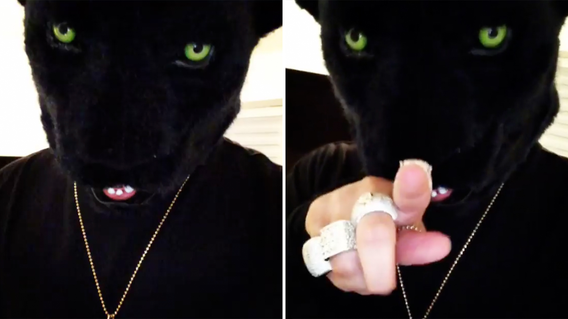 ¿Se cansó de ser conejo?: Bad Bunny se muestra como una pantera (¿mala ...