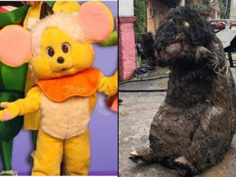 Los mejores memes de la Rata Gigante que encontraron en la Ciudad de ...