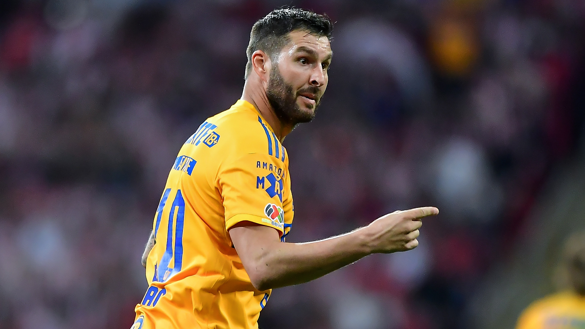 Gignac sigue siendo duda con Tigres ante León; Córdova avanza en su ...