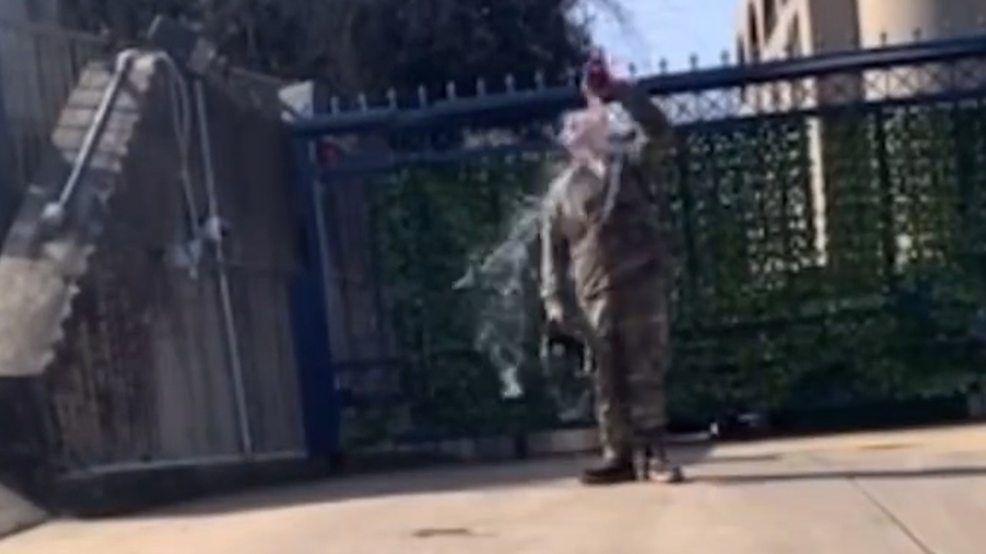 “No seré cómplice de genocidio”: un militar se inmola frente a la ...