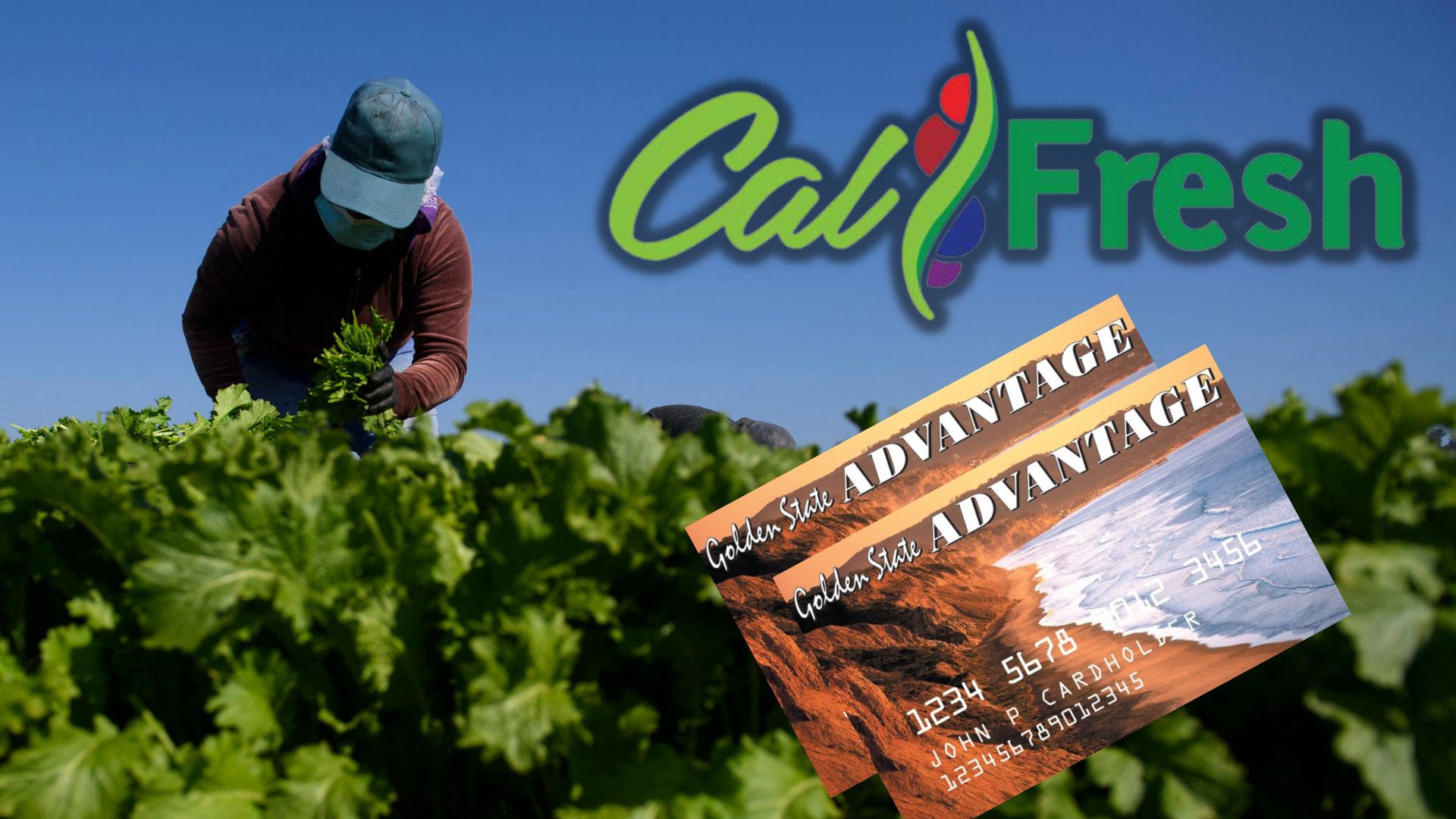 ¿Inmigrantes indocumentados pueden pedir CalFresh en California? En ...