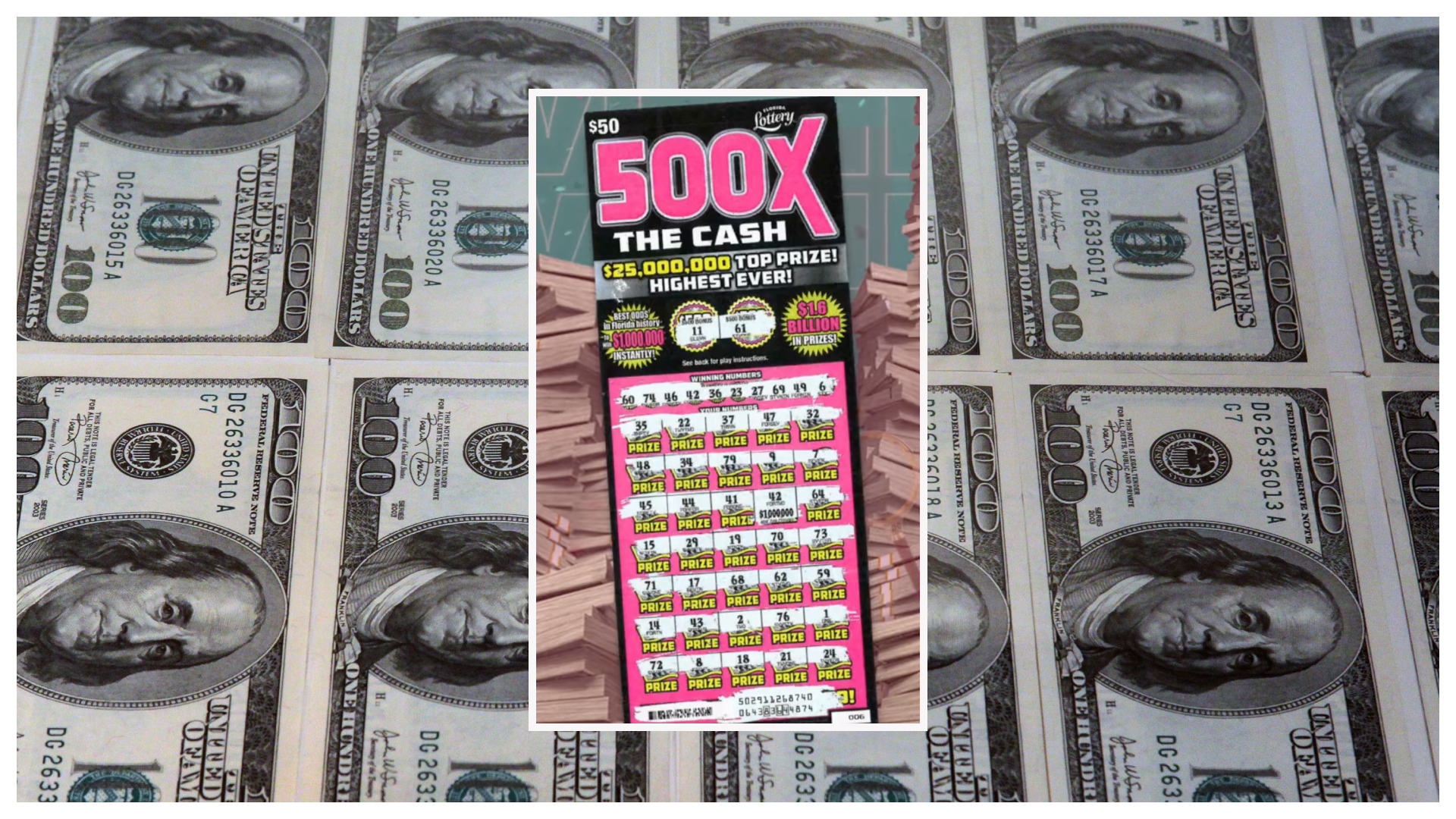 Mujer de Florida va a una tienda de alimentos y se convierte en ...