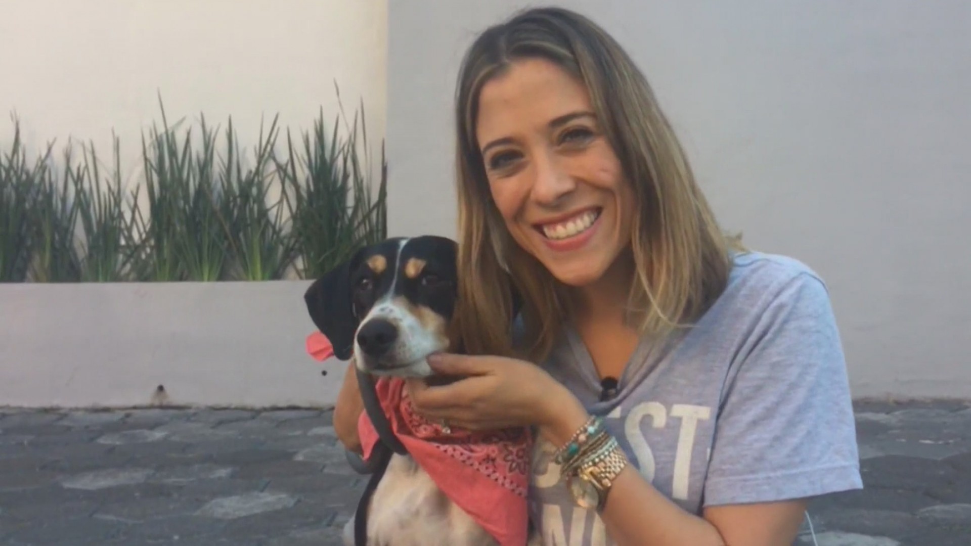 Dueña de la perrita extraviada por una aerolínea: “Fueron horas que me ...