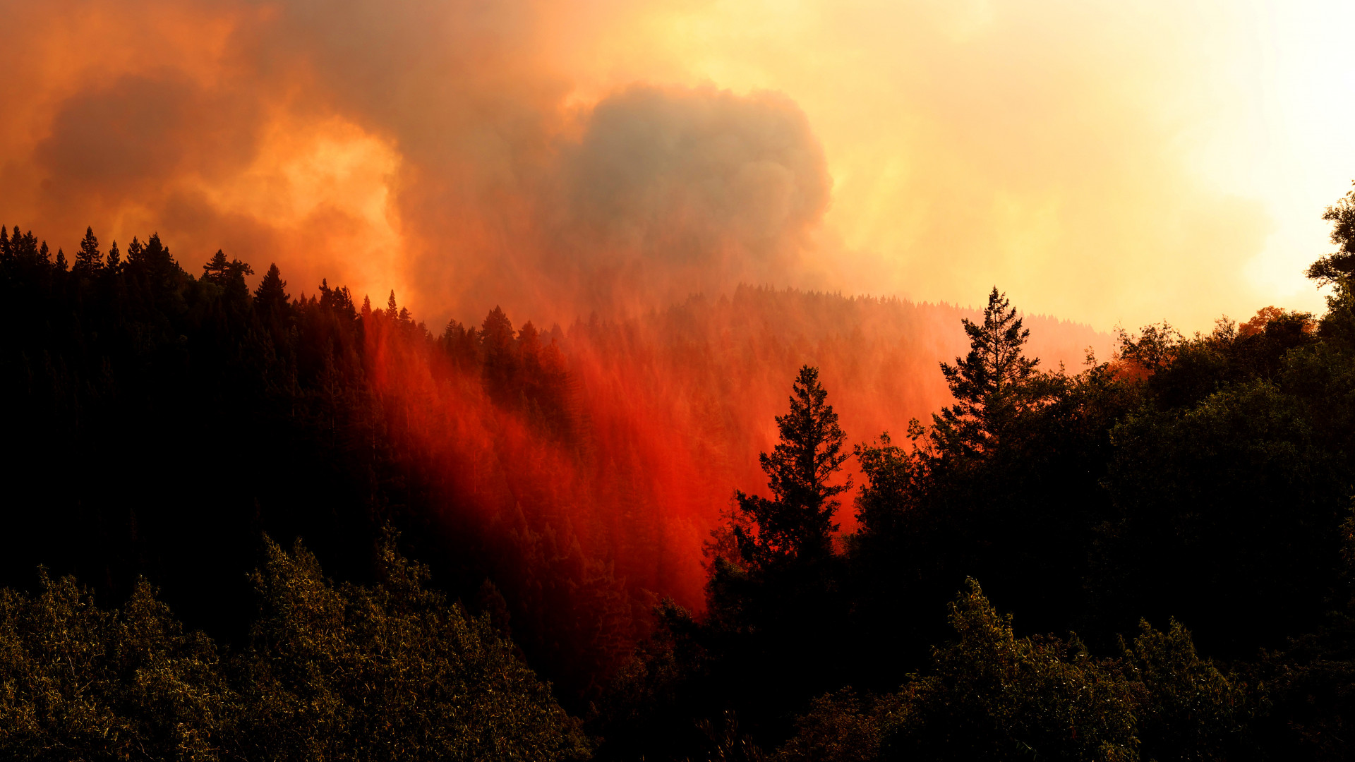 Hay más de media docena de incendios fuertes: así avanza la emergencia ...