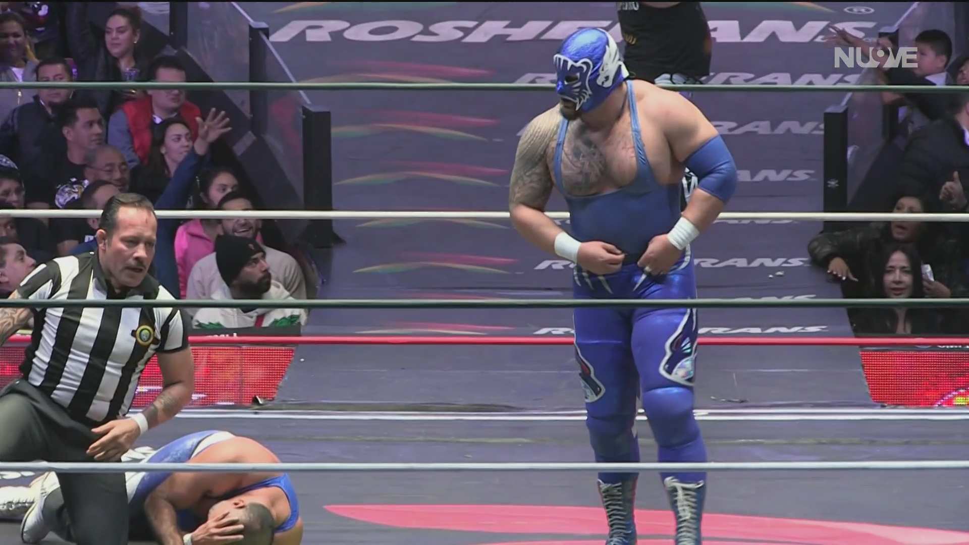 Blue Panther, Blue Panther Jr. y Black Panther vencieron a El Felino ...
