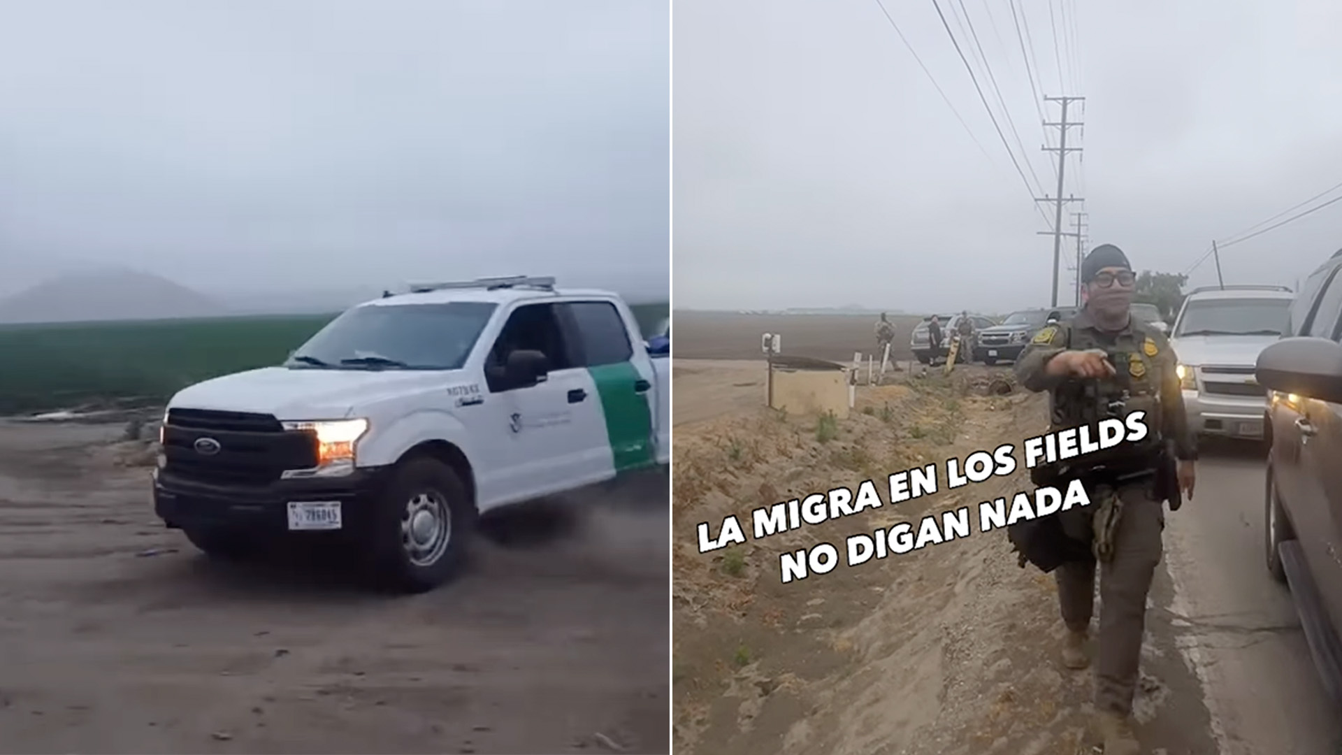 Reportan operativos de ICE y Patrulla Fronteriza en los campos de ...
