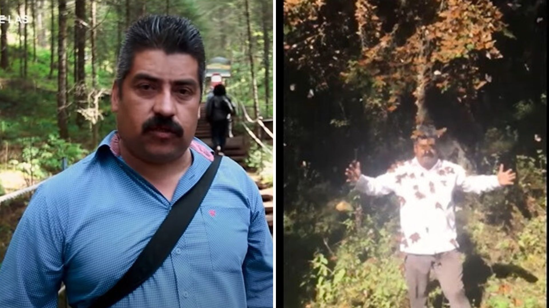 'El guardián de las monarcas': ¿Quién era Homero Gómez, el mexicano ...