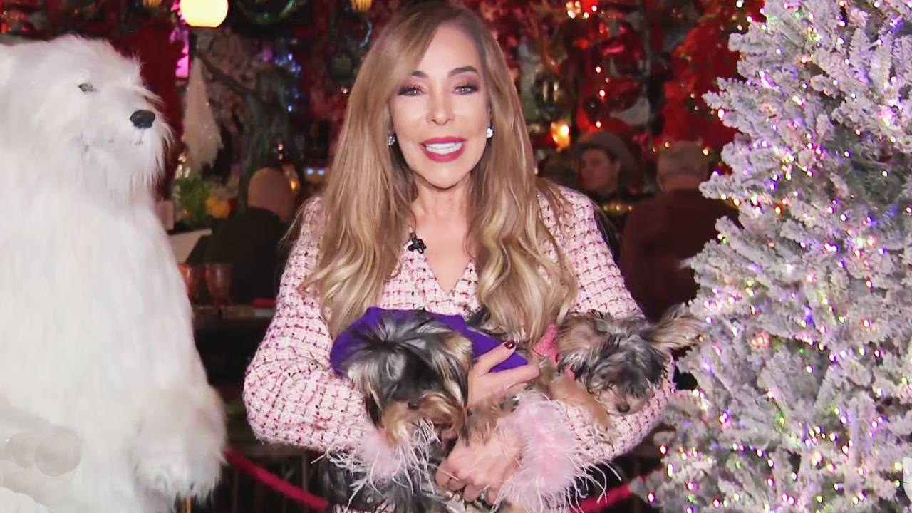 Gelena Solano le da la bienvenida a sus nuevos ‘hijos’ perrunos, sin ...