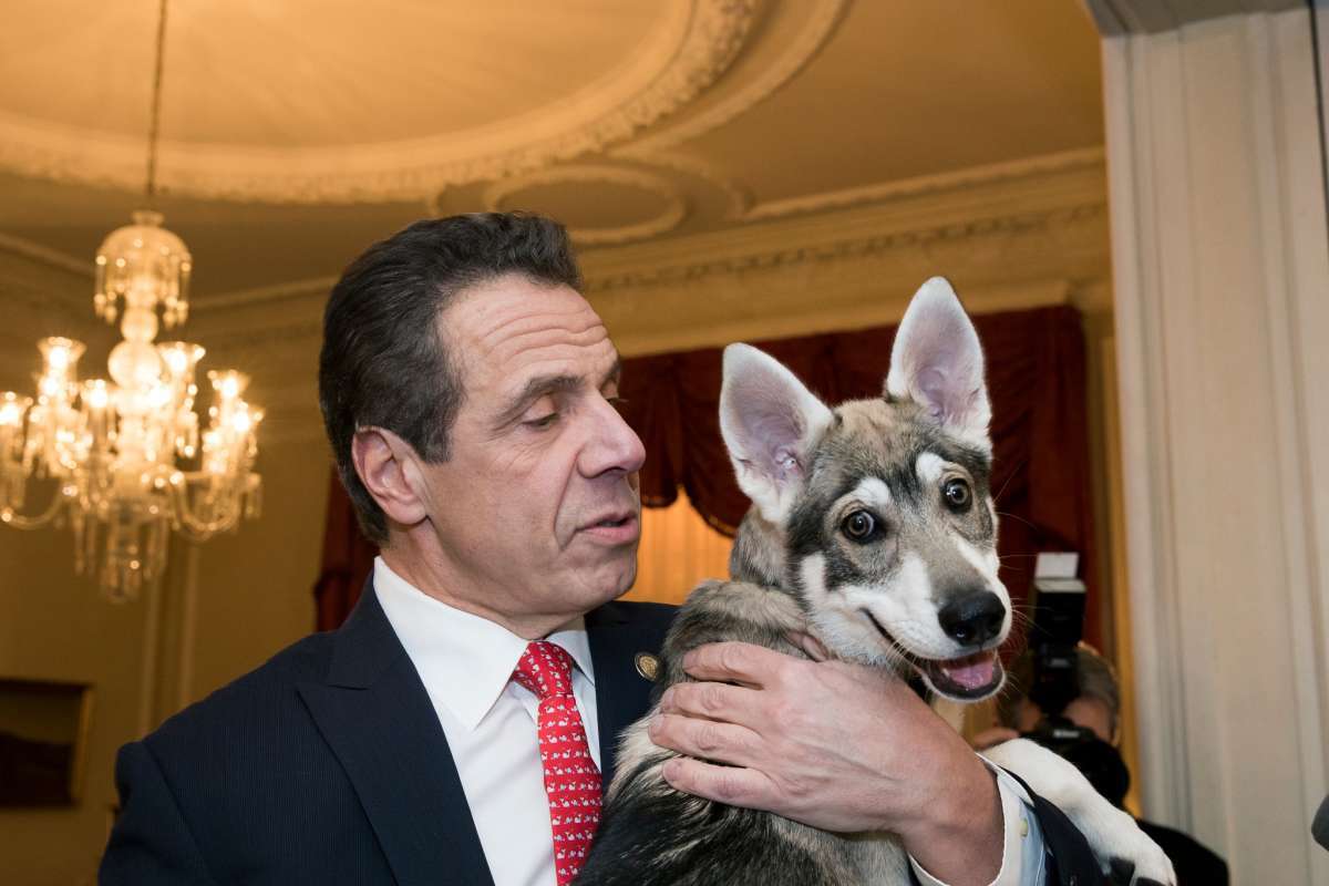 Andrew Cuomo deja a su perro Captain en la Mansión Ejecutiva de Nueva ...