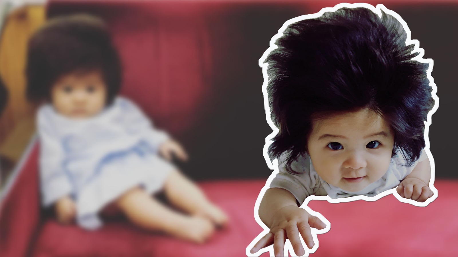 Conoce a ‘Baby Chanco’: la bebé japonesa con una impresionante melena ...