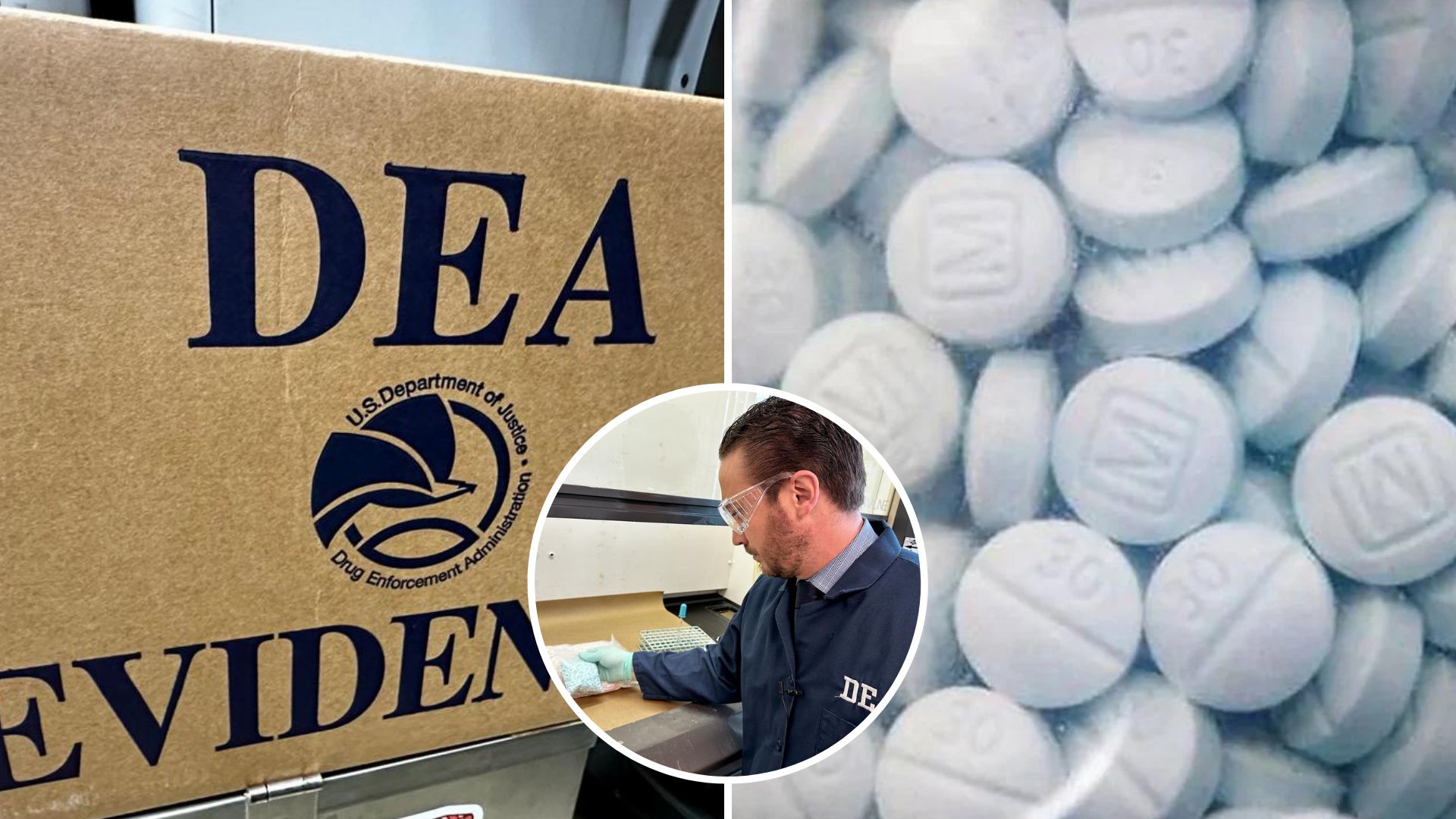 Video: Conoce la bóveda de la DEA, un lugar secreto y de máxima ...