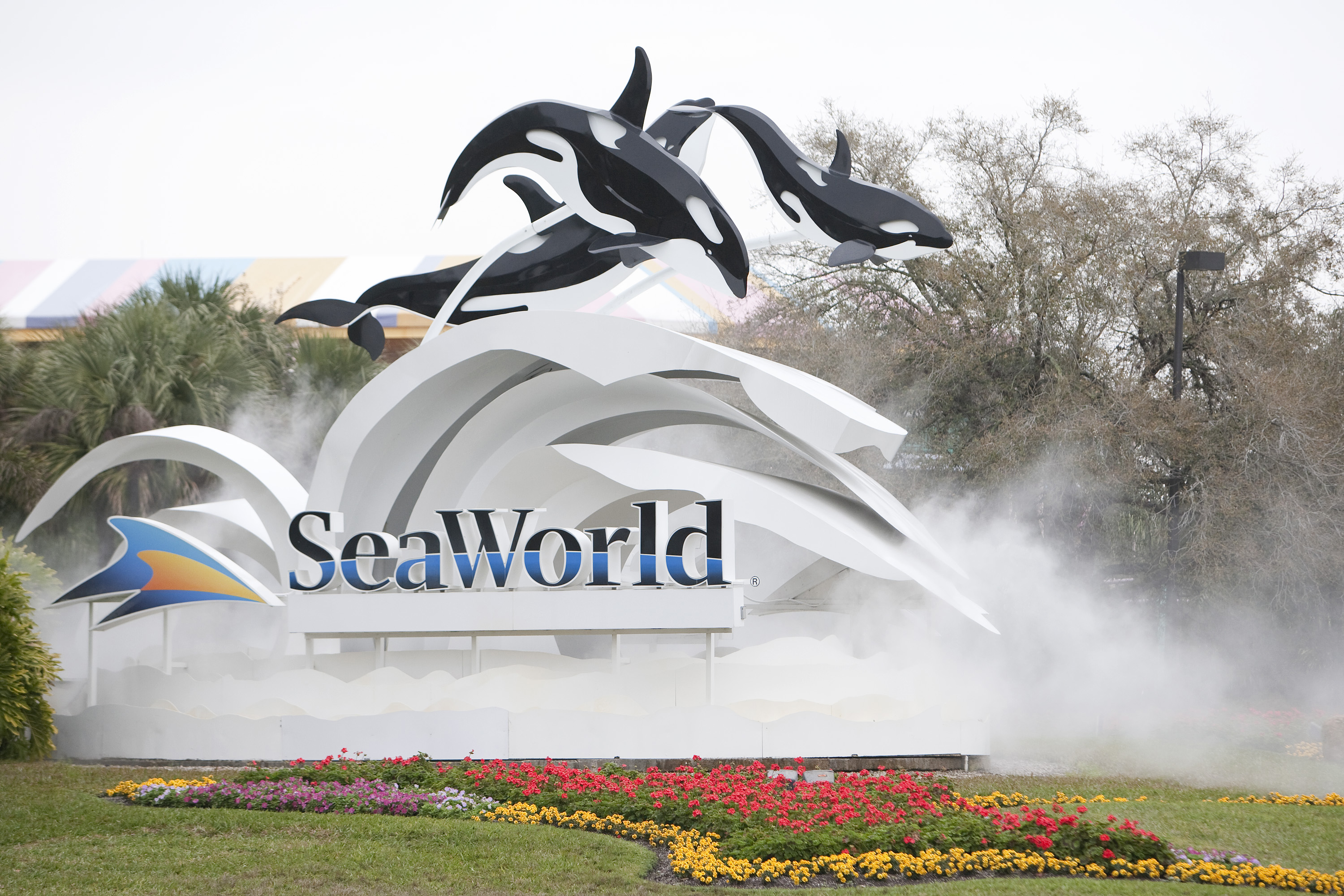 SeaWorld: Últimas noticias, videos y fotos de SeaWorld | Univision
