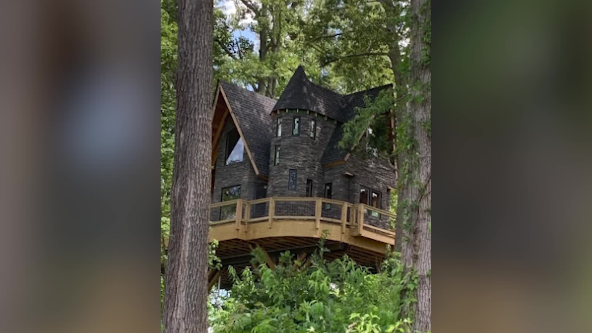 Casa del árbol traslada a los fanáticos de Harry Potter a un mundo de ...