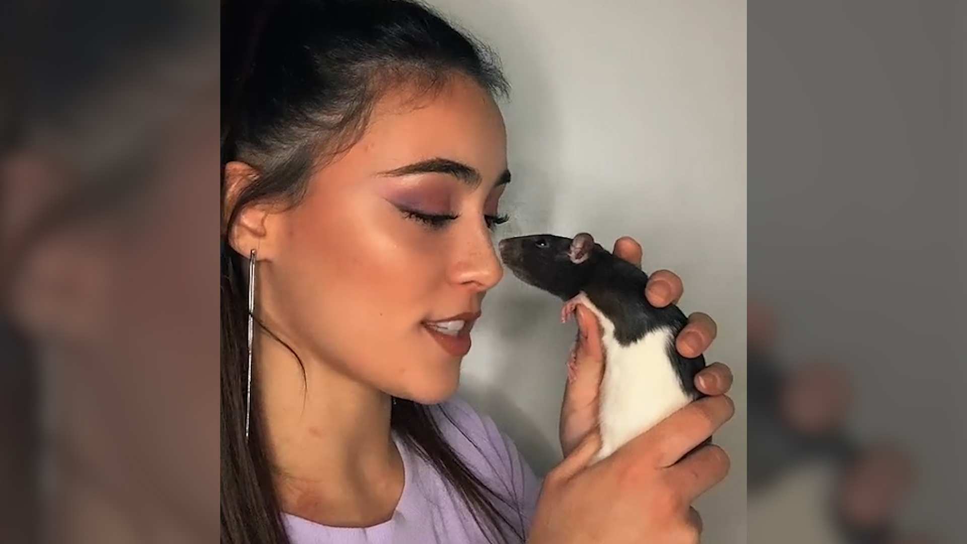 Ella es la "Niña Rata" de España y es muy maja con sus roedores | Shows ...