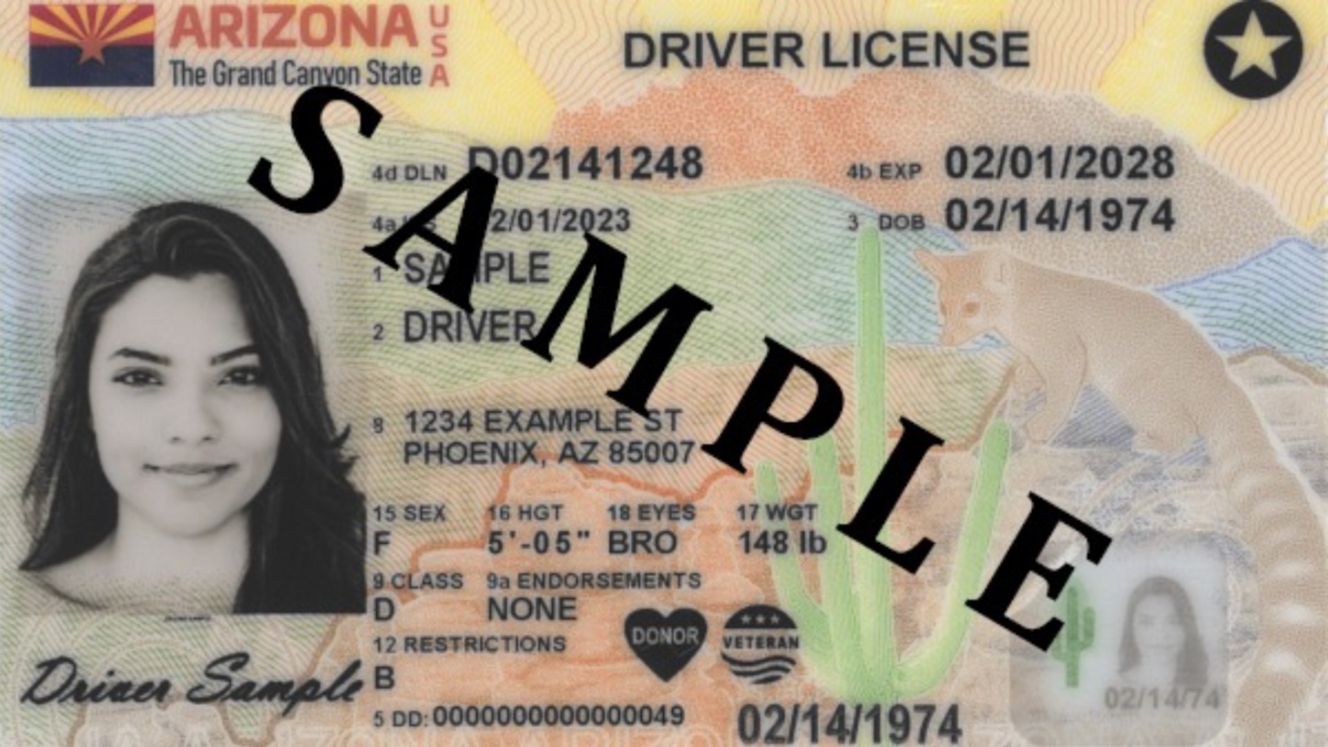 Estado de Arizona expedirá nuevas licencias de conducir con más medidas de seguridad ...