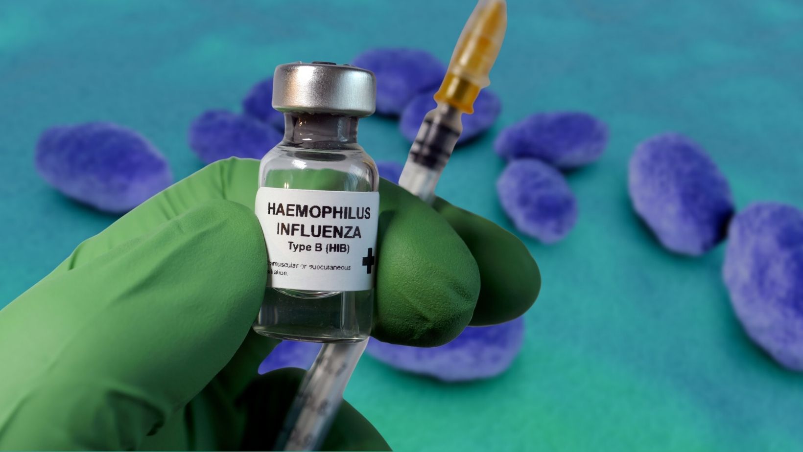 Aviso de salud por infecciones por Haemophilus influenzae tipo b, una ...