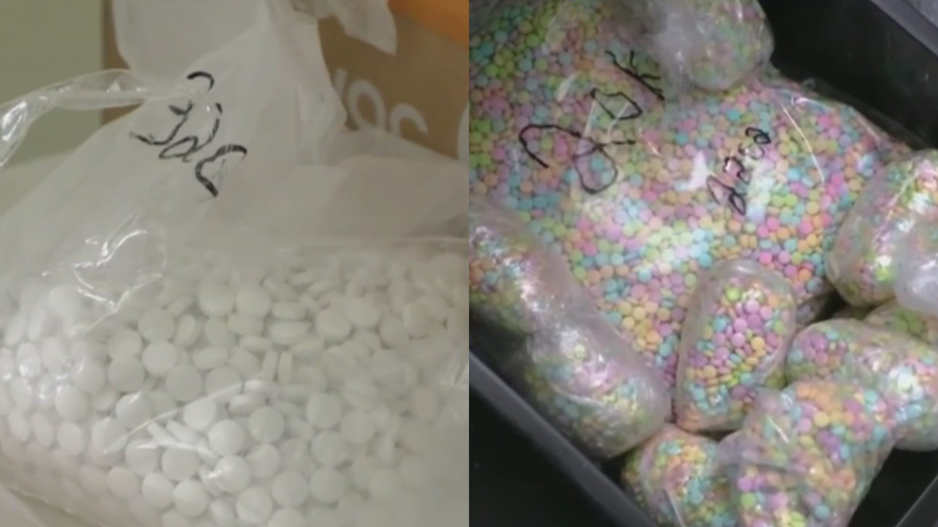 Mezcla de tranquilizante para caballos y fentanilo: lo que puede causar ...