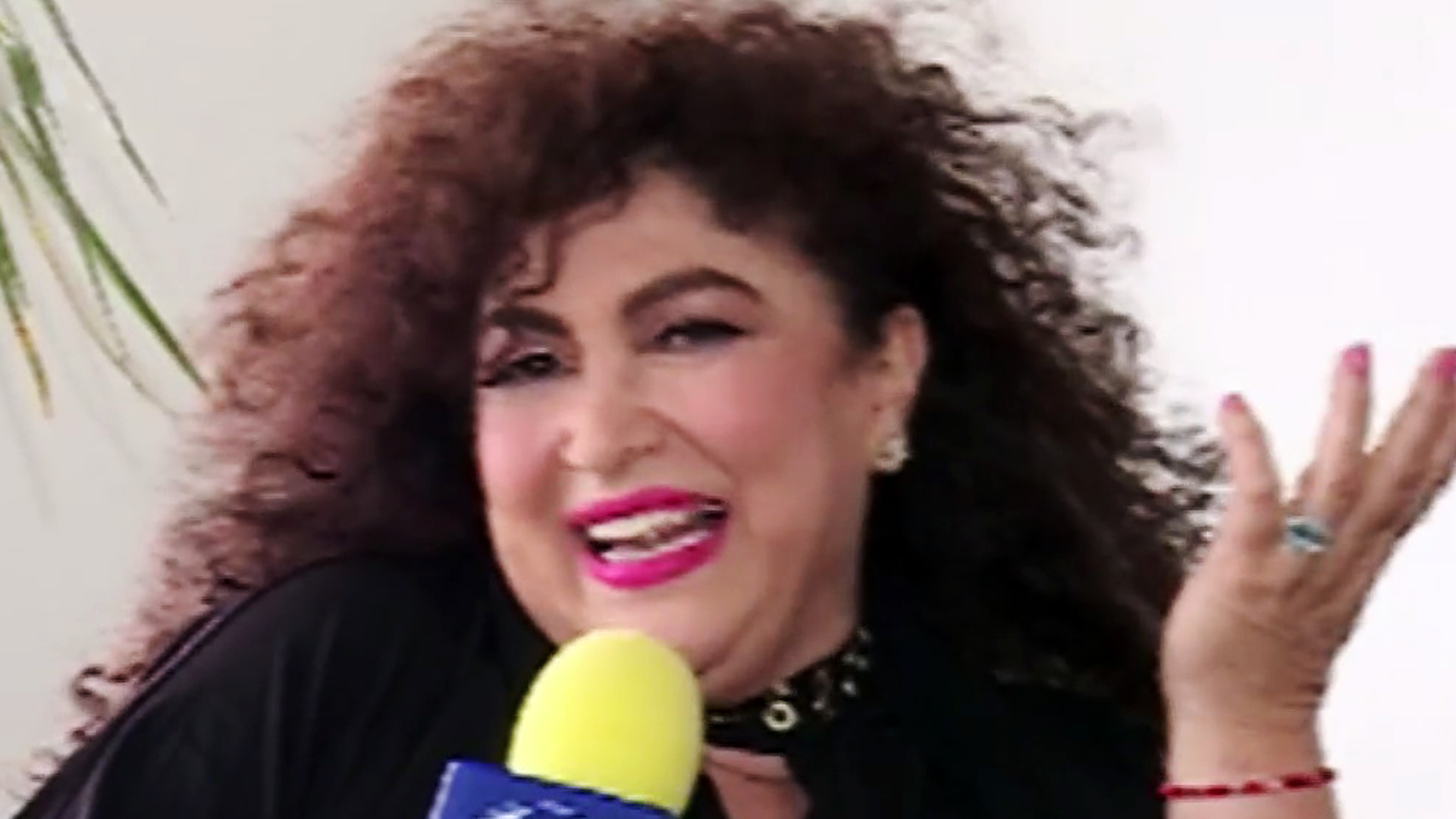 Amanda Miguel celebra 39 años de carrera con una fiesta a lo grande ...