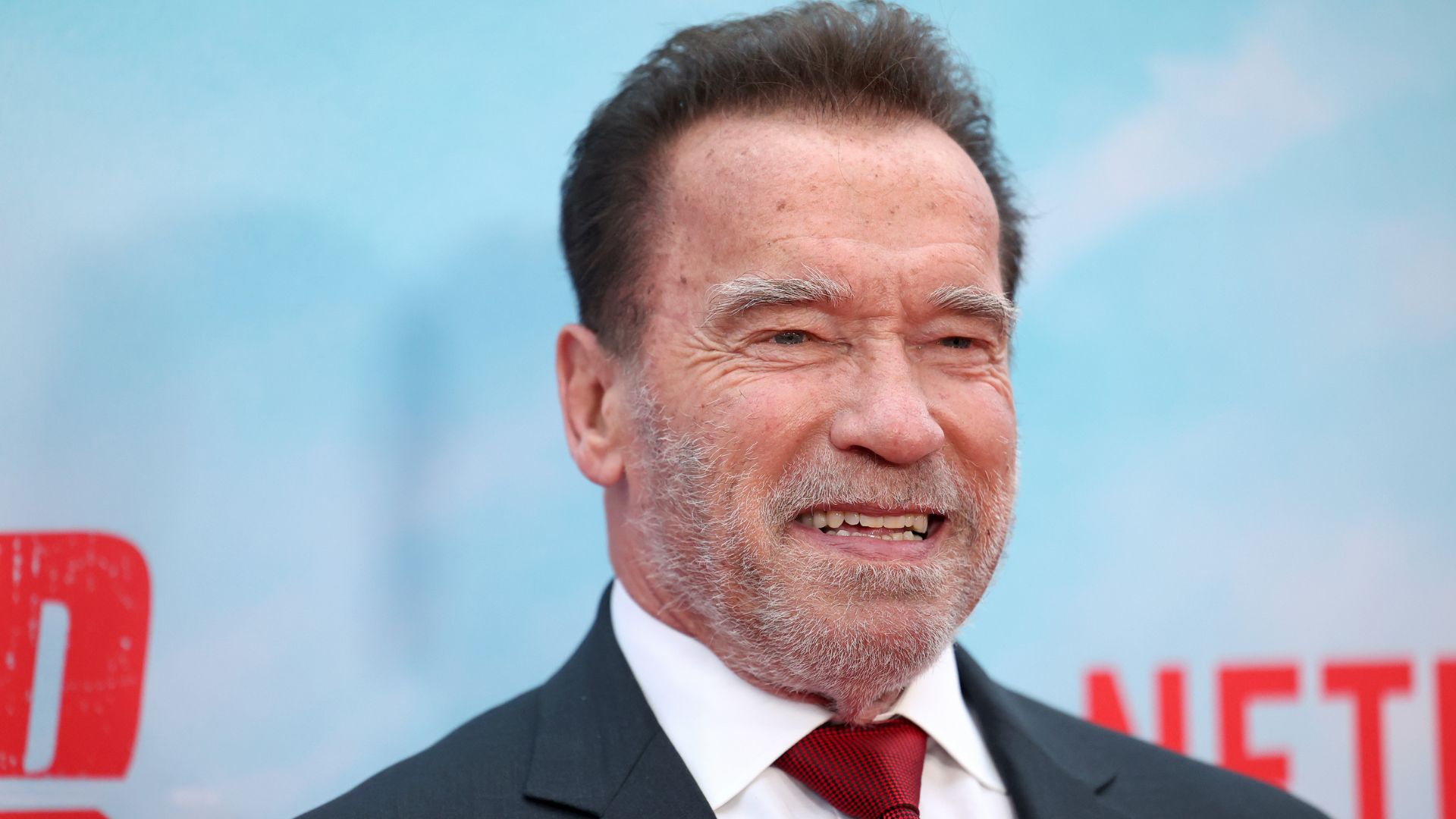 Arnold Schwarzenegger está de regreso a las series de acción con Fubar ... Arnold Schwarzenegger está de regreso a las series de acción con Fubar ...