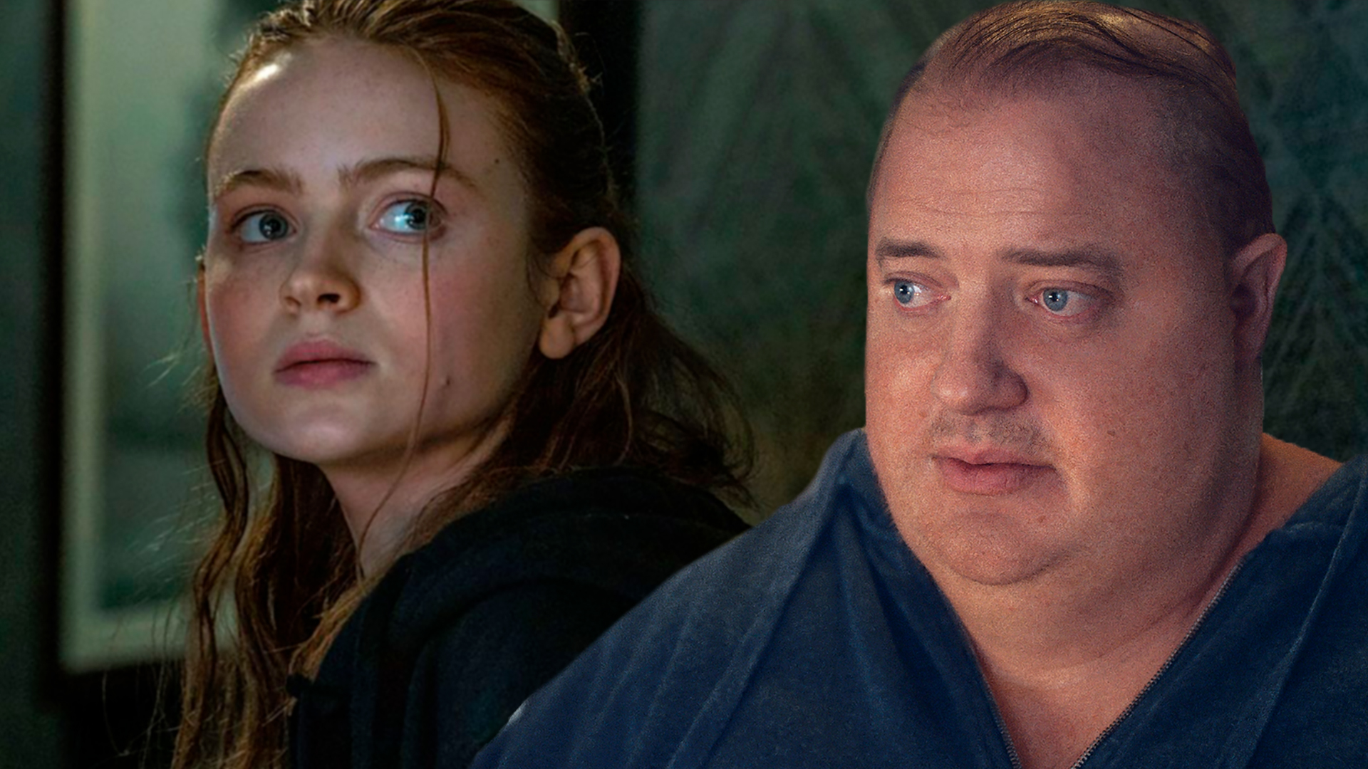 ¿'The Whale' está basada en una historia real? Detalles y controversias de la película de ...