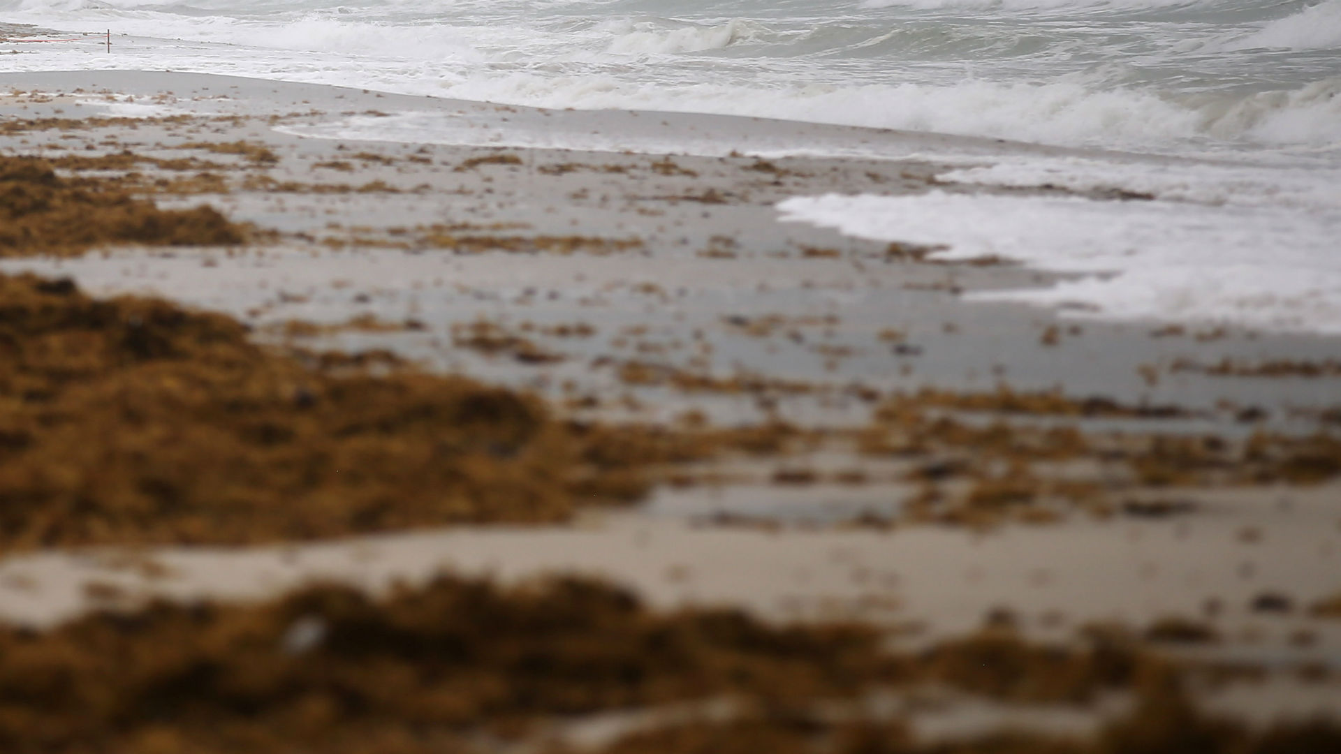 Marea baja o bajamar, el fenómeno que se vive en algunas zonas de la ...