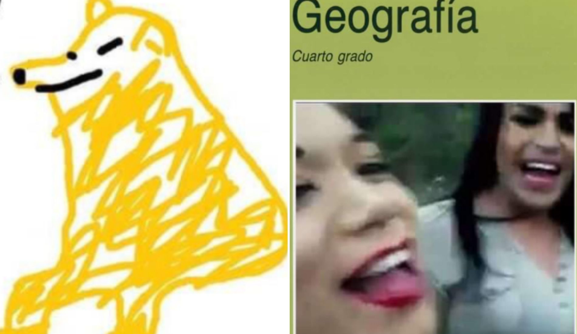 La SEP convocó a artistas a ilustrar libros de texto sin paga y ...