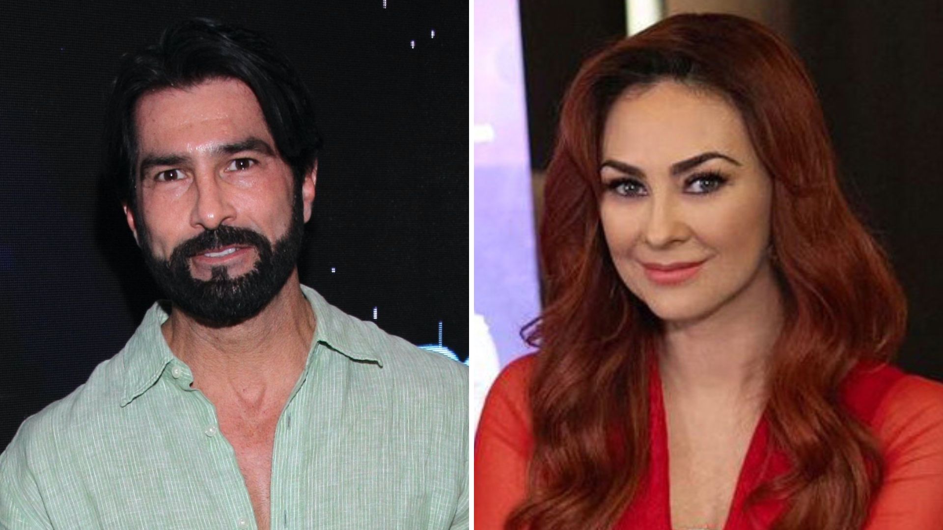 ¿Arturo Carmona es el verdadero “‘Rey Cucaracho’” de Aracely Arámbula ...