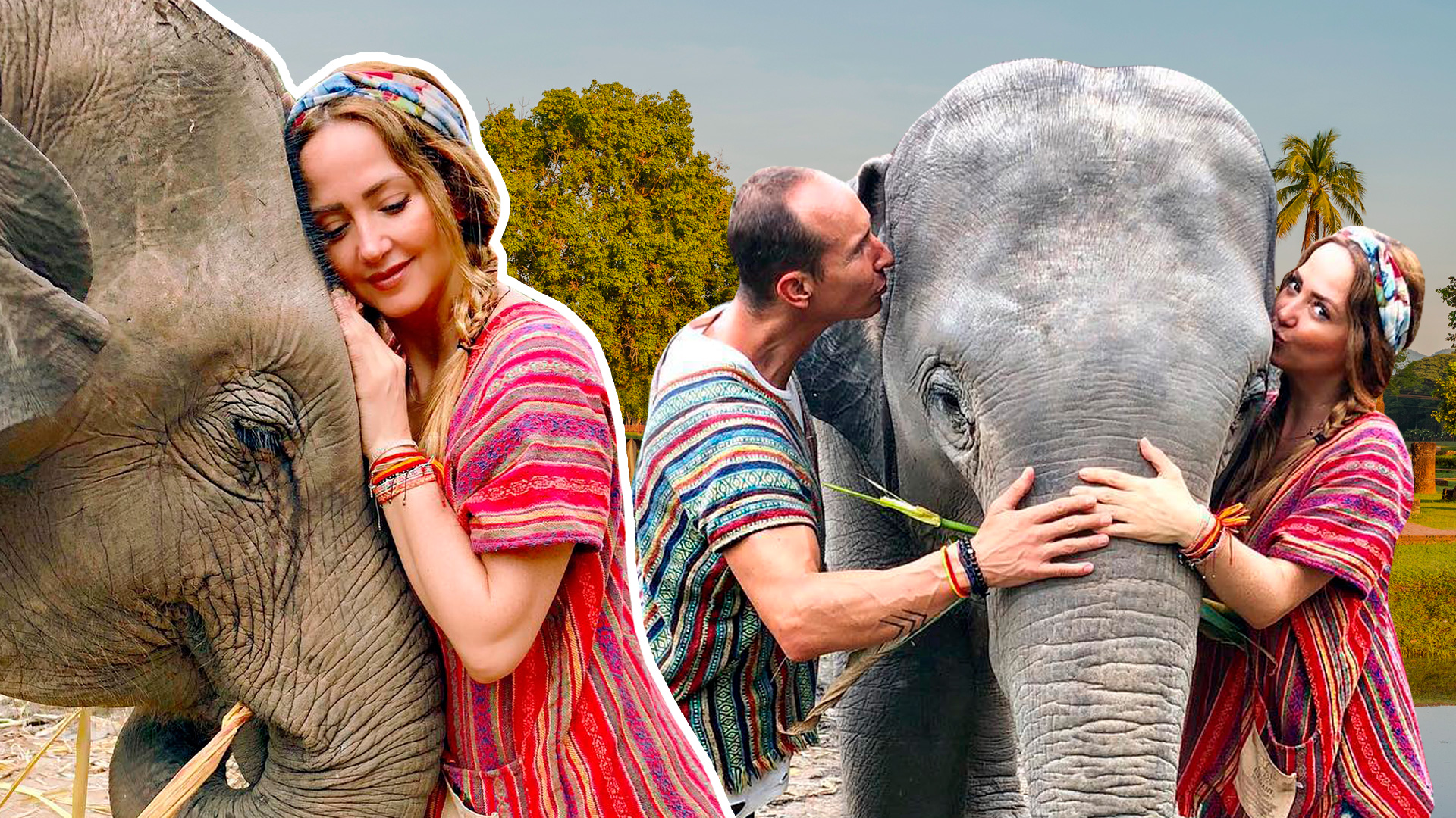 Andrea Legarreta y su tierno momento con unos elefantes bebés (pero con ...