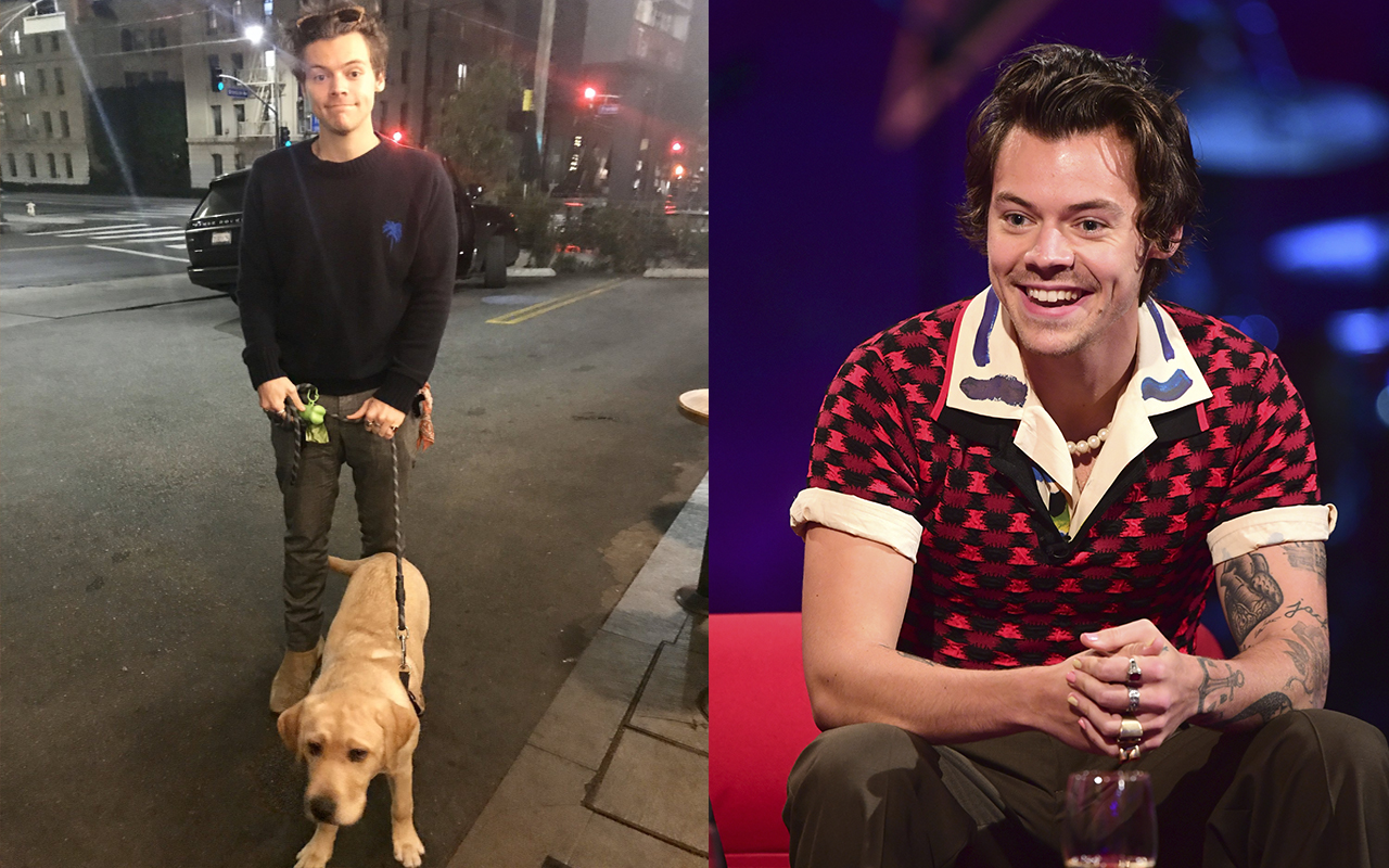 Hoy es un buen día para recordar que Harry Styles le cuidó su perro a ...