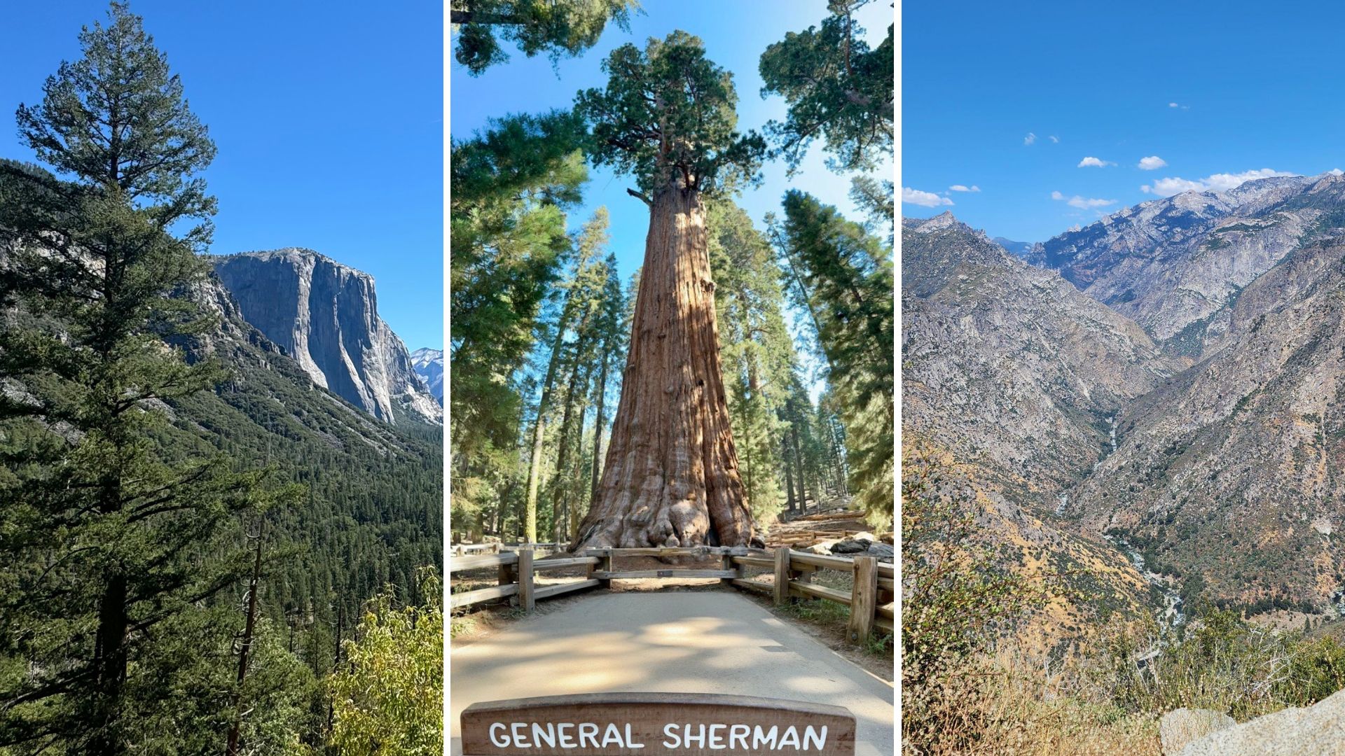 Tesoros a visitar en California: el parque nacional Yosemite, el de las ...