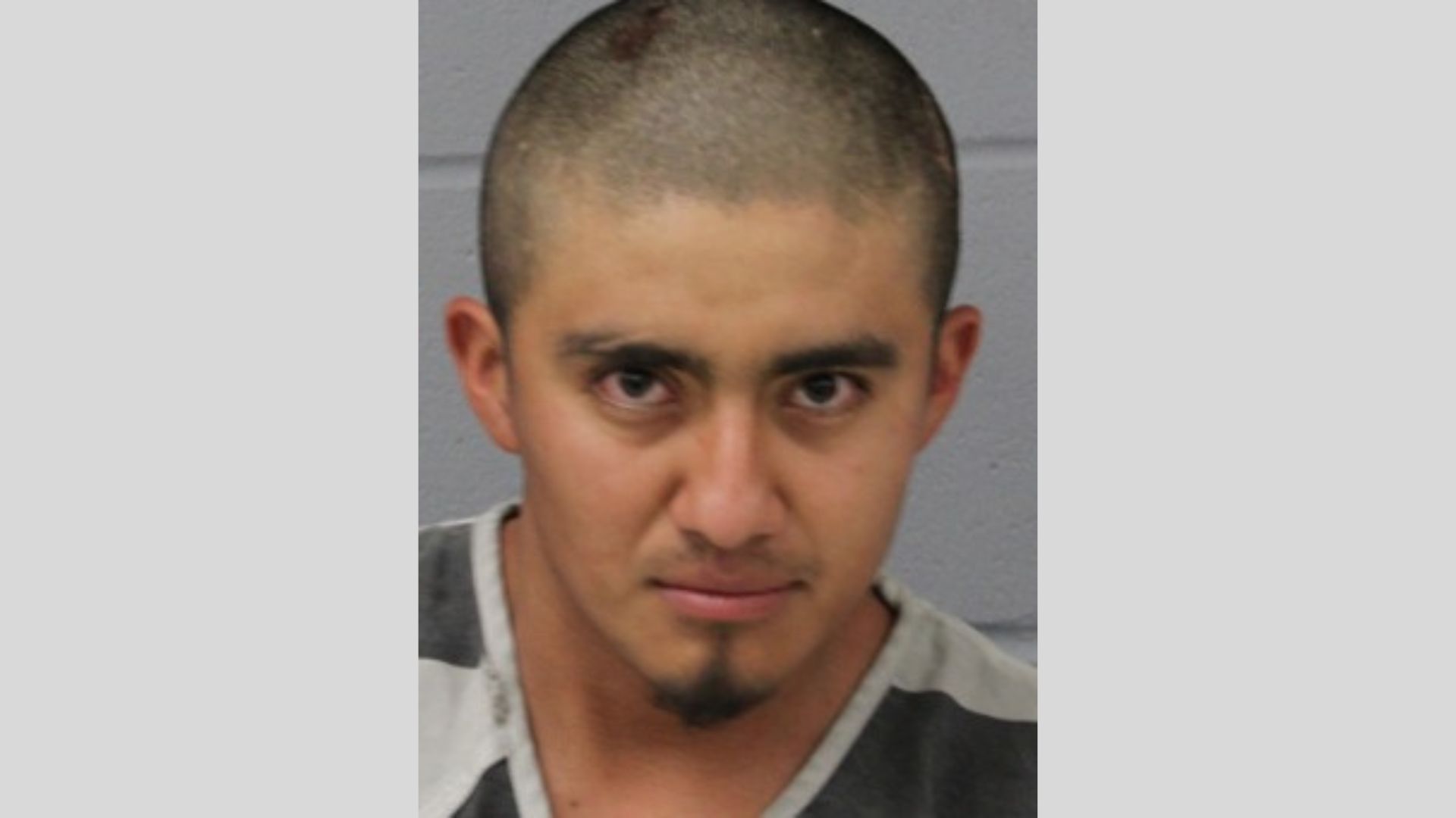 Tras hallazgo de restos humanos calcinados, en Kyle, Texas, autoridades ...