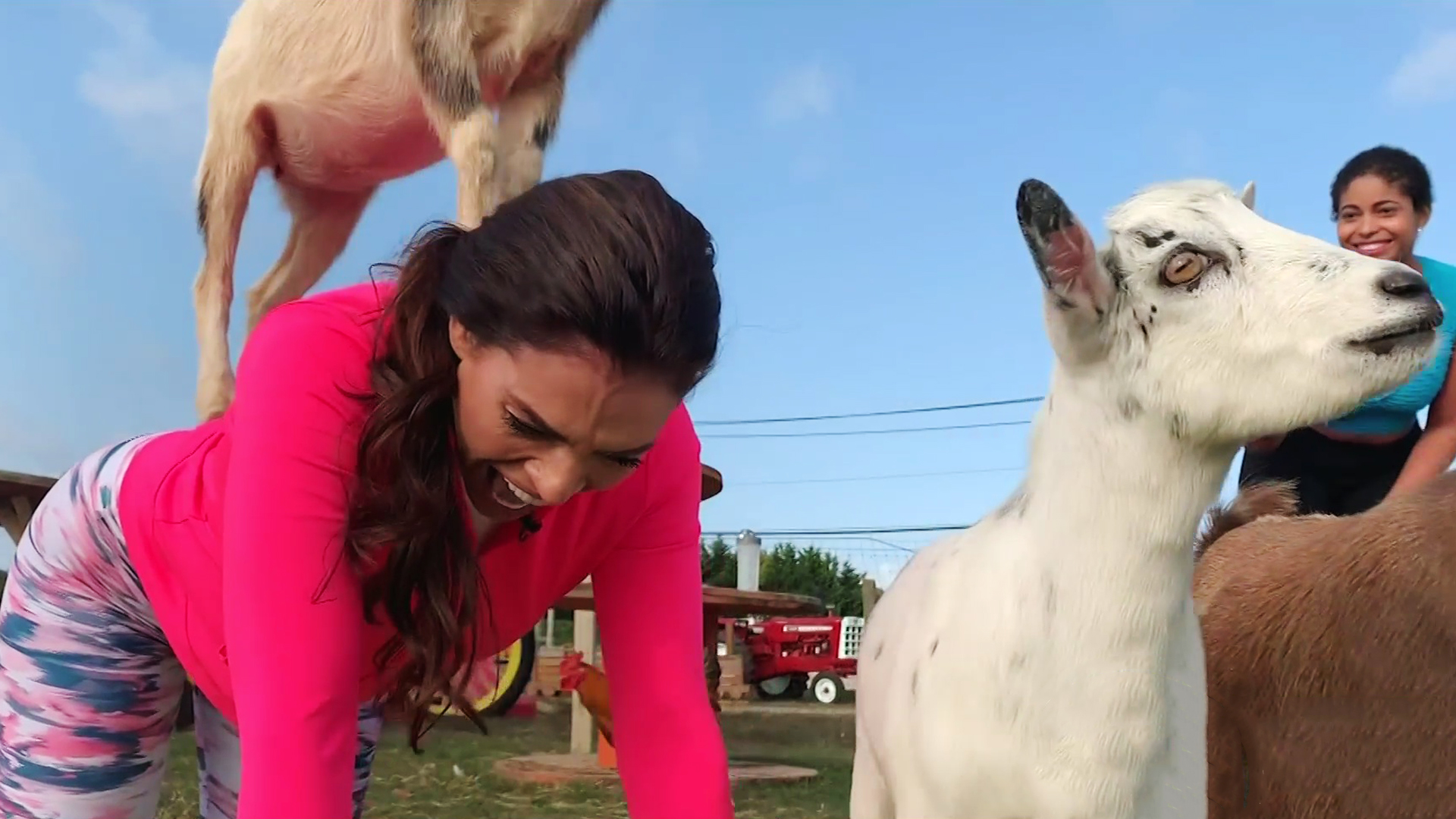 Damaris Díaz dejó que un chivo trepara en su espalda para probar una ...