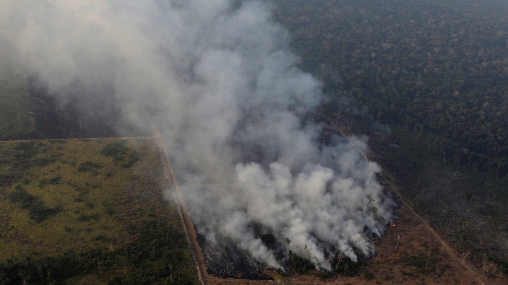 ¿Cómo los humanos estamos provocando los incendios en el Amazonas y ...