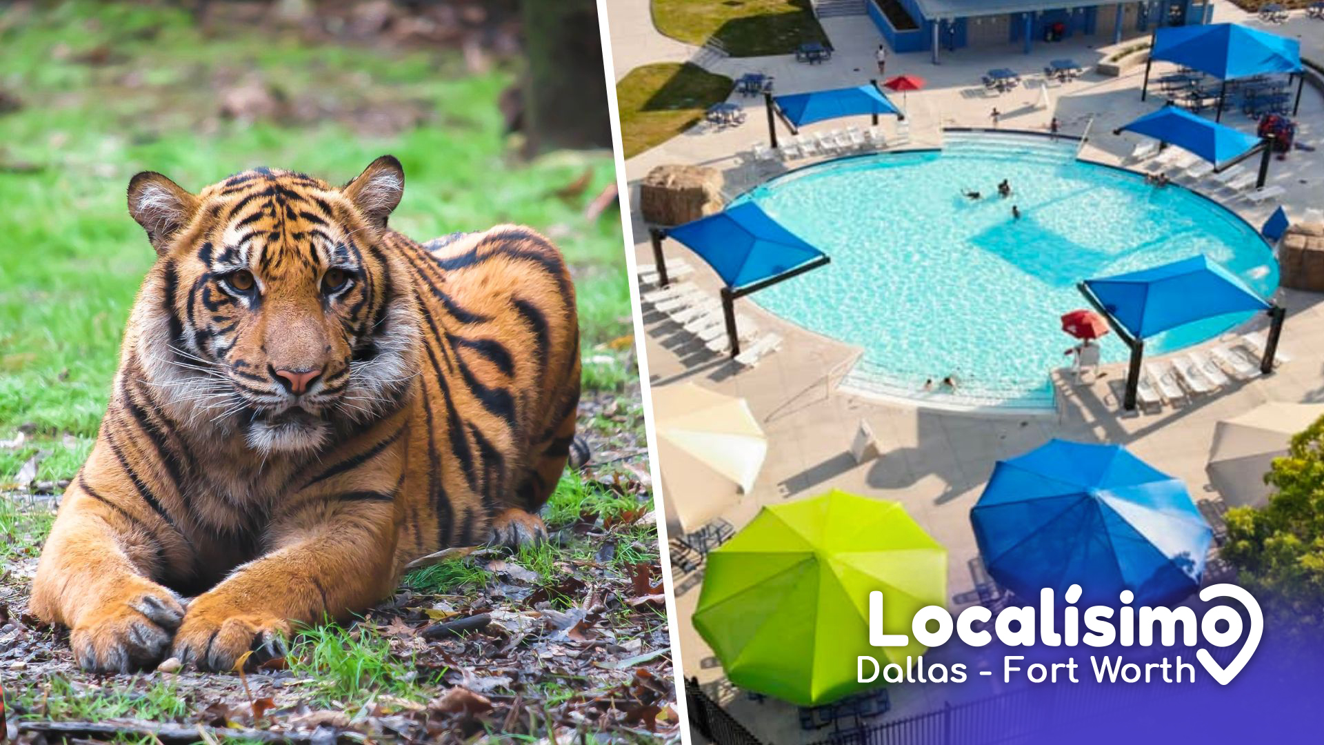 Información sobre entradas gratis para parques, museos y otras ...