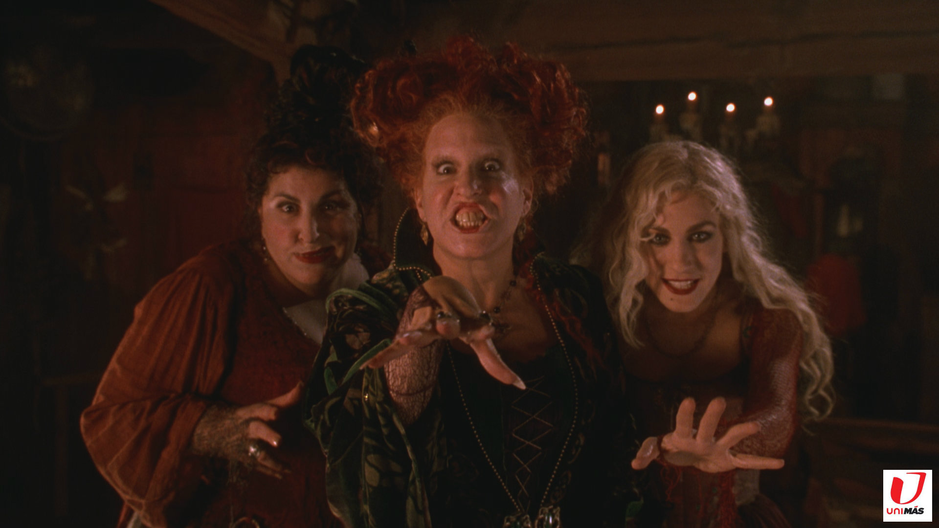 Proyectarán "Hocus Pocus" en el cementerio | Estilo de Vida | Univision