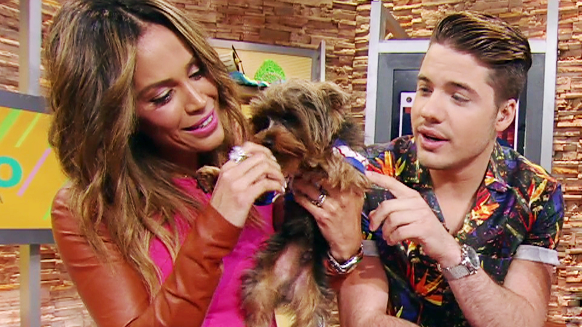 Tobi, el perrito de la casa, se puso muy juguetón con Karla | Shows ...