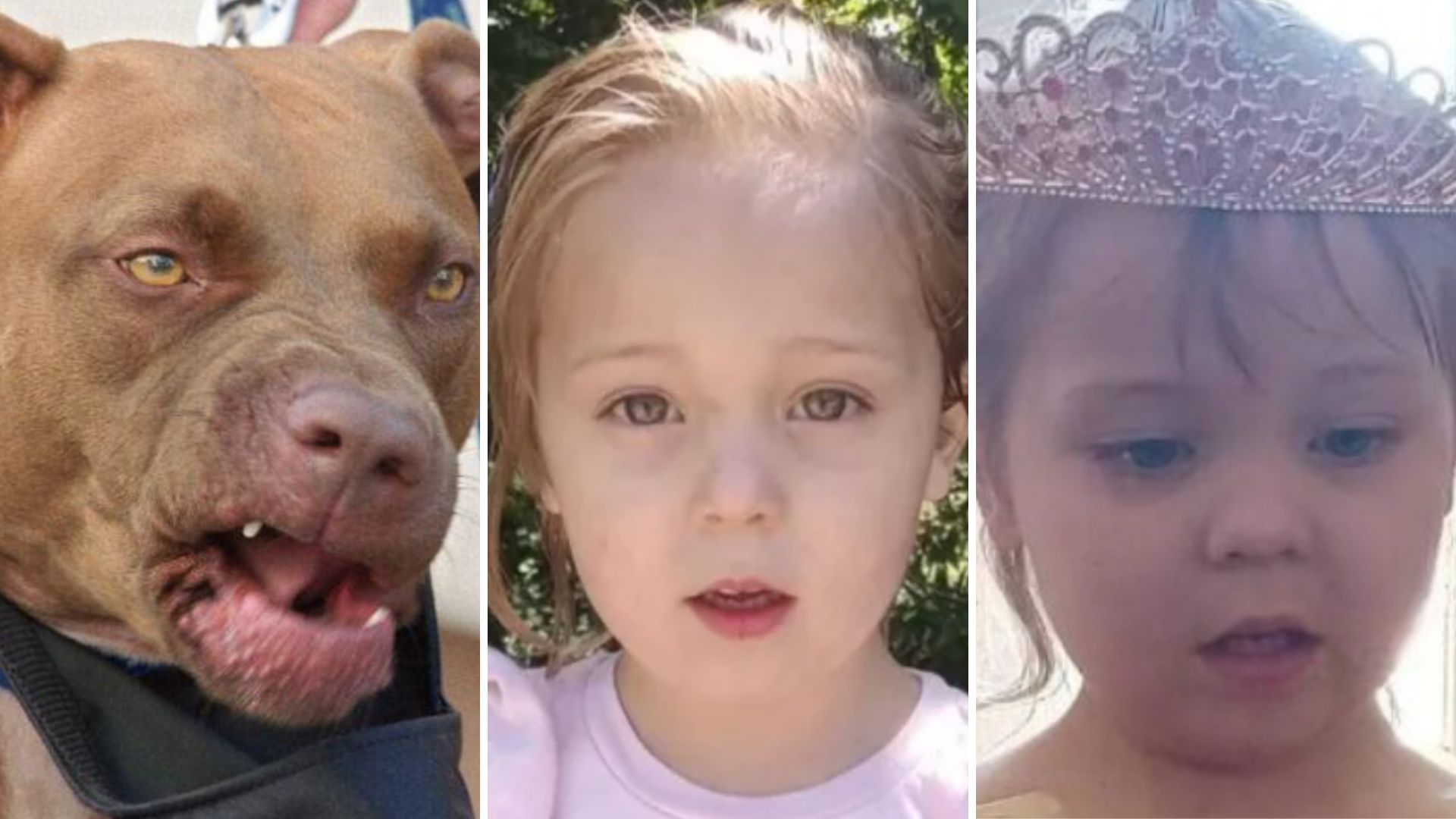 Identifican como Zoey Hopkins a niña de 4 años que murió tras ser atacada por el pitbull de su ...